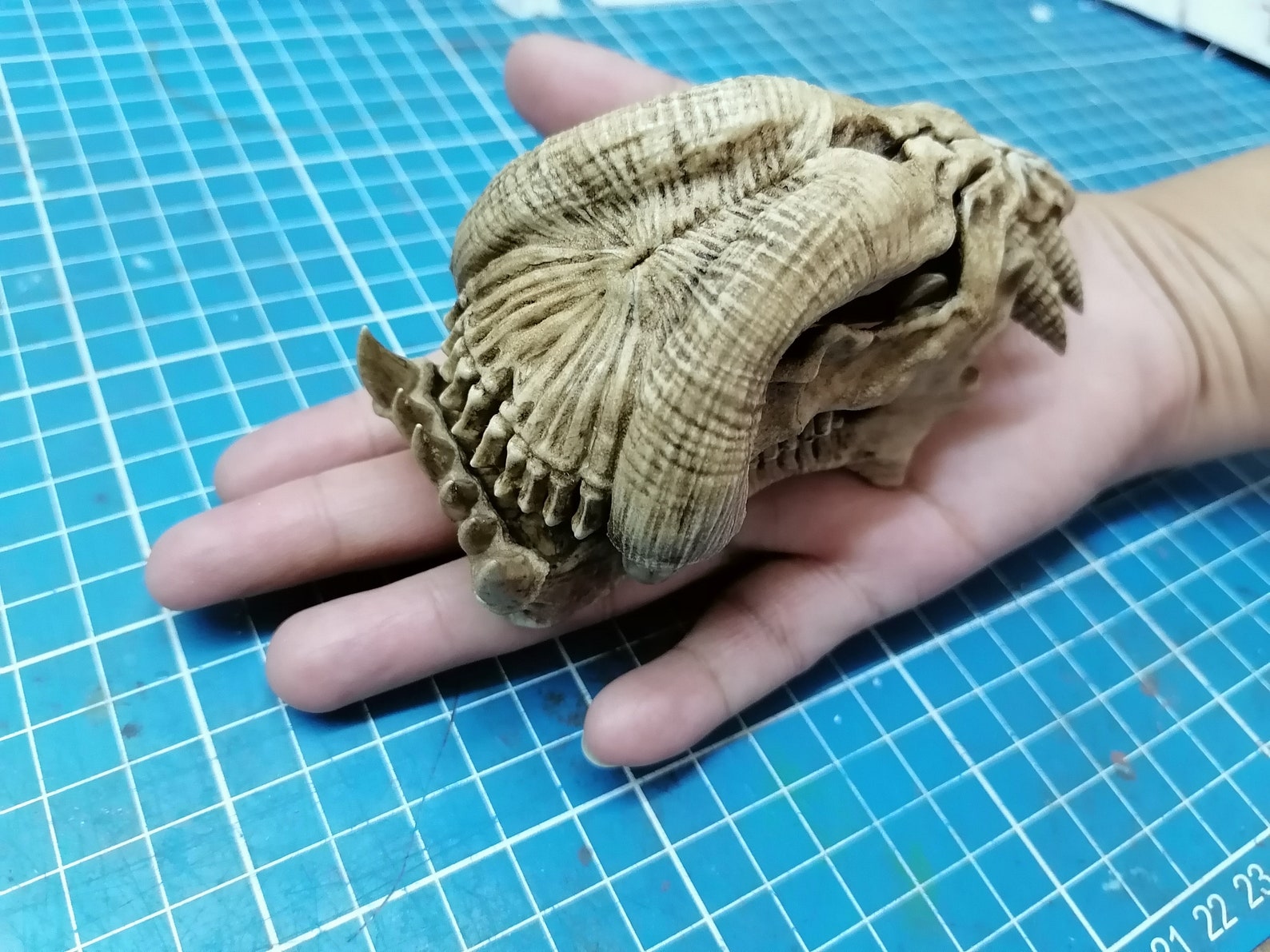 Alien Skull predator 2 1/6 Scale trophy Skull | Etsy