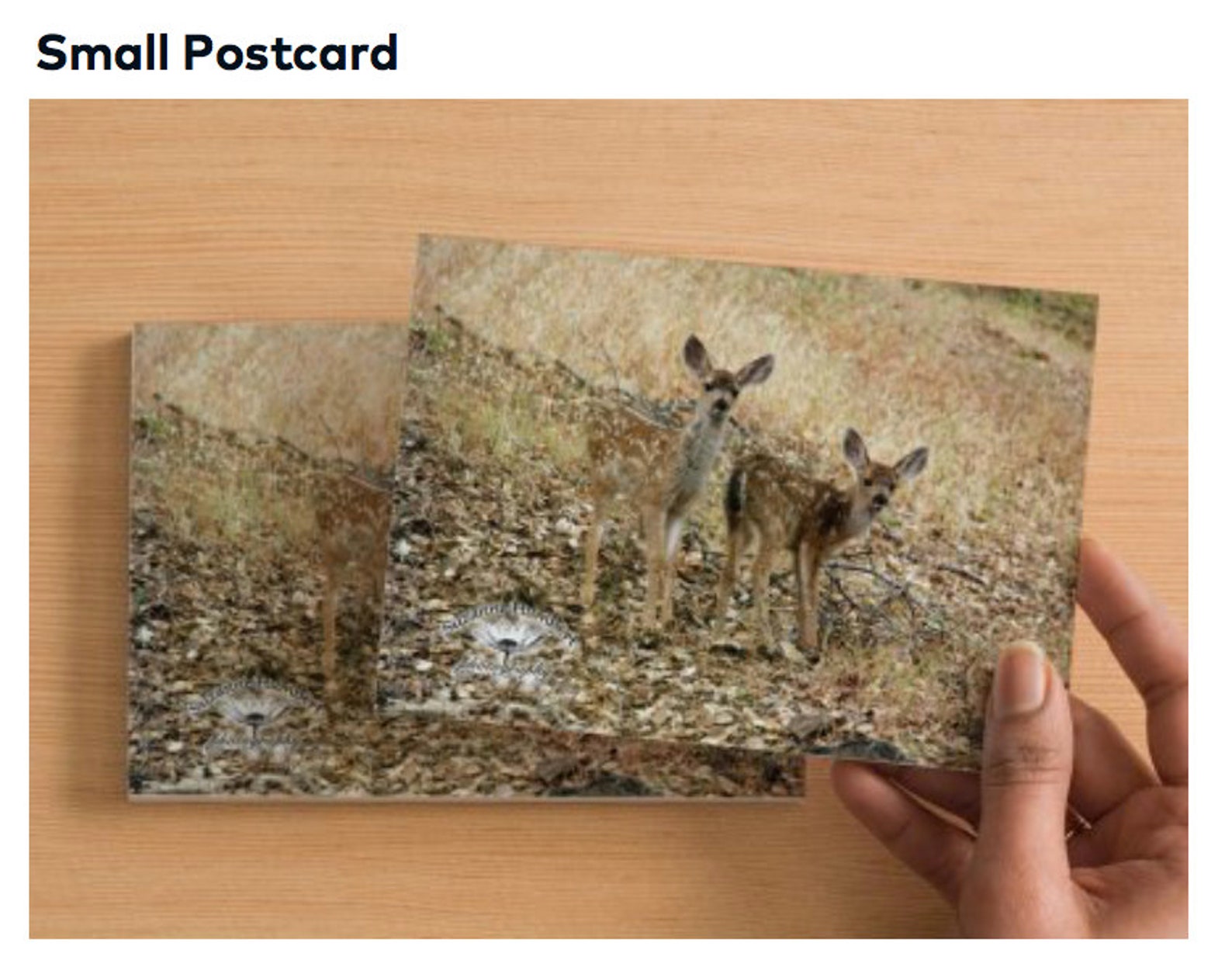 Baby Deer - Etsy