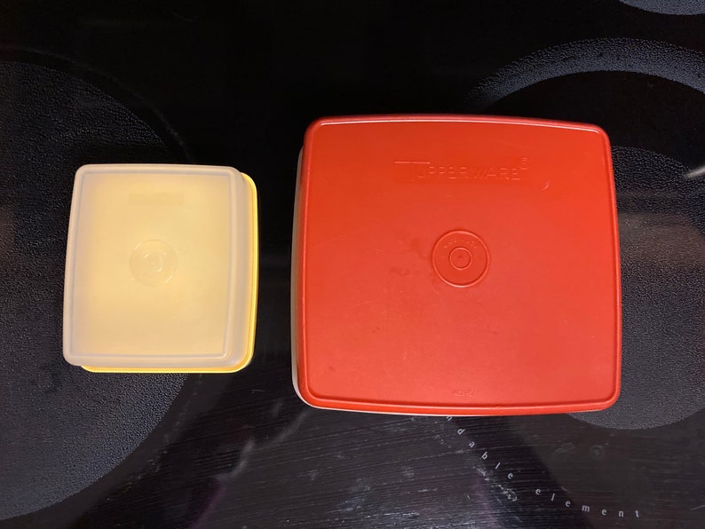 Vintage Tupperware Lunch Set Tupperware Paprika Square | Etsy