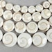 Doublet Shiva Shell Round Bead – Shiva Shell Bead- 16" Beaded Strand ...