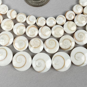 Doublet Shiva Shell Round Bead – Shiva Shell Bead- 16" Beaded Strand ...