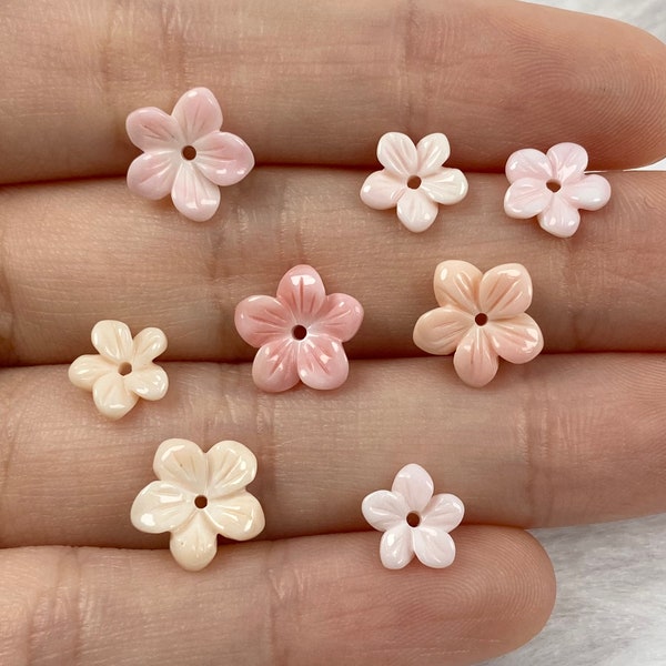 Conch Shell Beads - Etsy