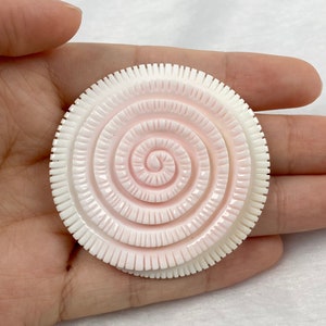 12pc Queen Conch Shell Carved Spiral Loose Piece - Queen Conch Shell ...