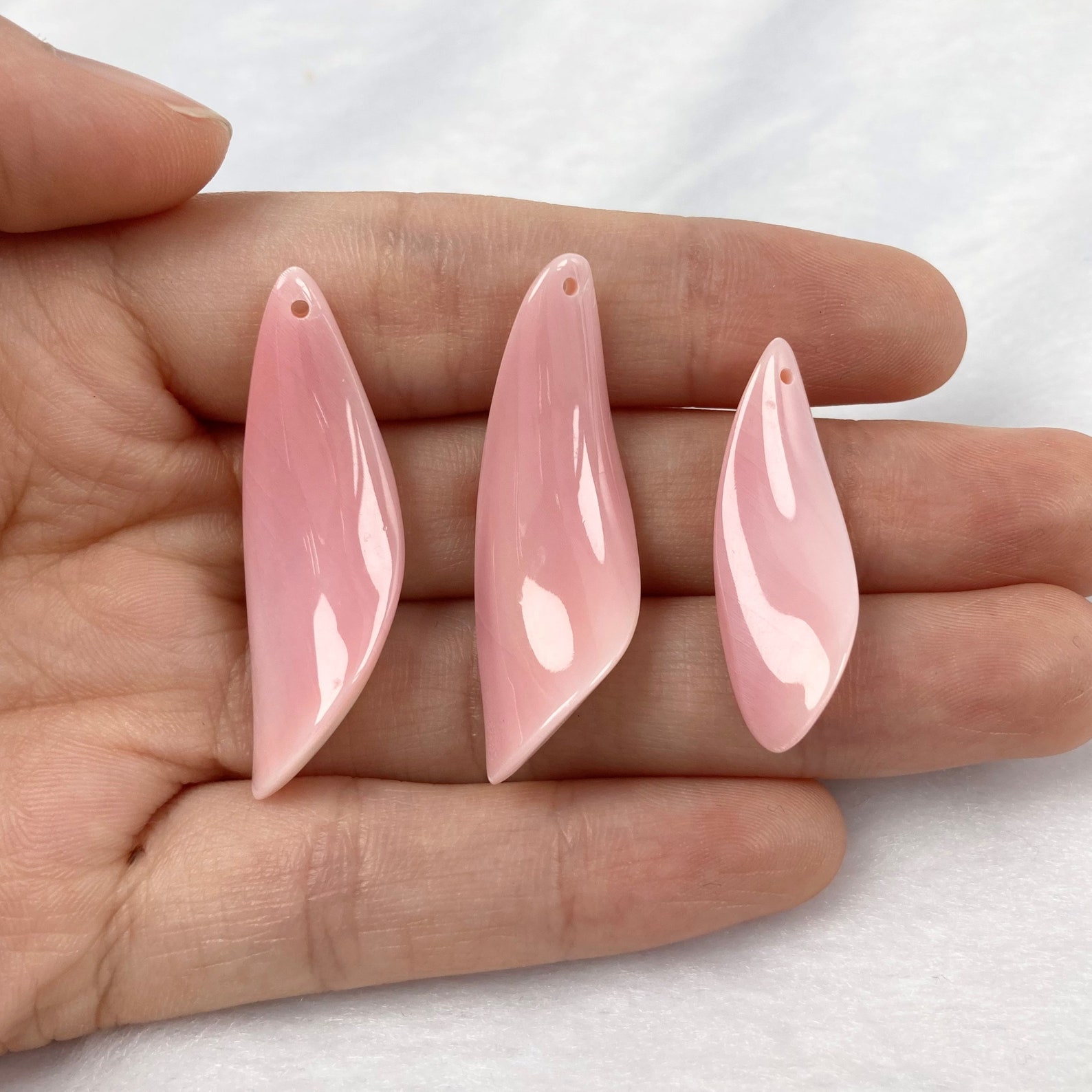 12pc Queen Conch Shell Freeform Curved Chips Loose Piece - Etsy