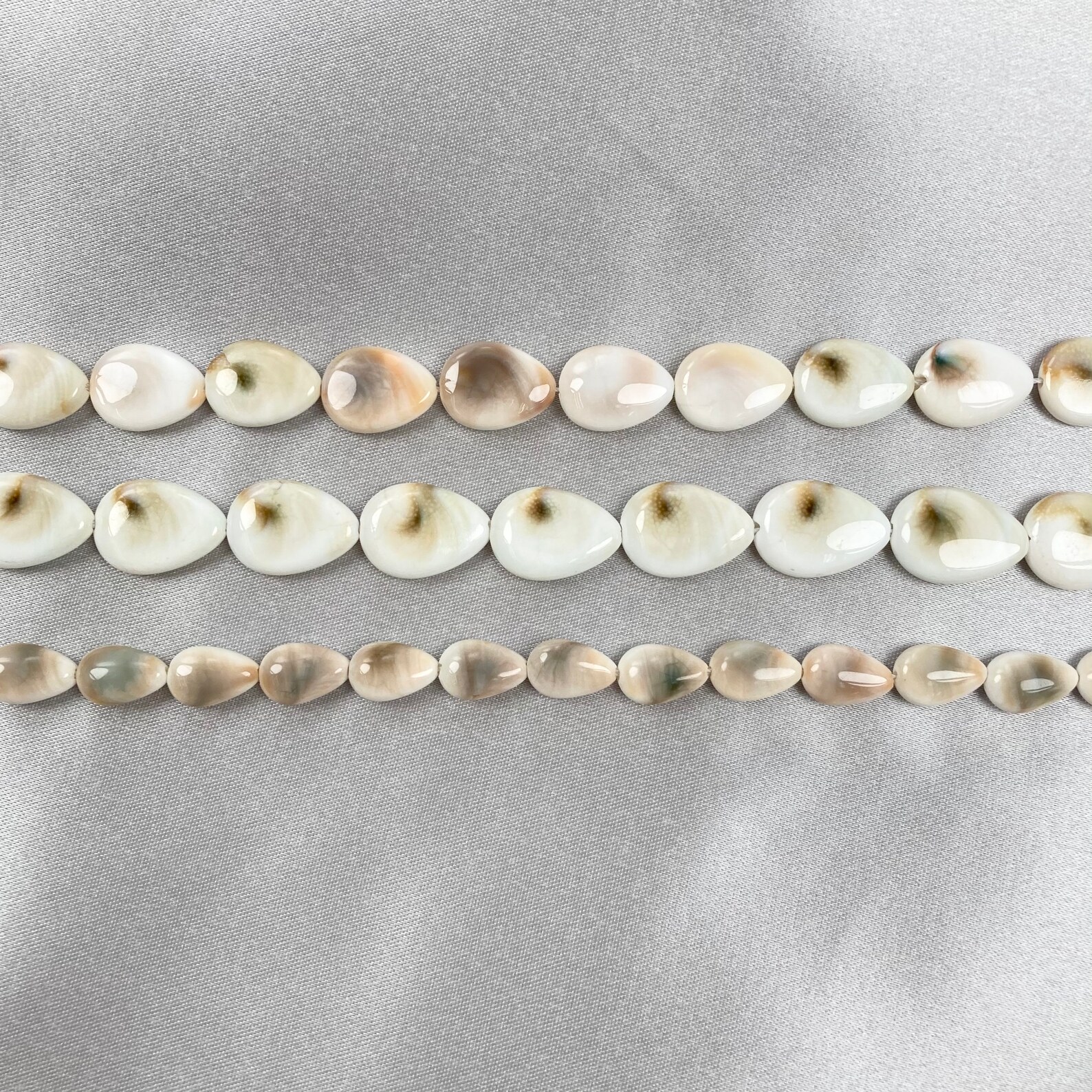 Single Shiva Shell Drop Bead Shiva Shell Bead Shiva Shell - Etsy