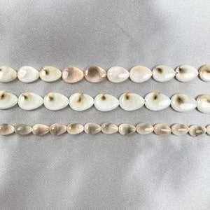 Single Shiva Shell Drop Bead - Shiva Shell Bead - Shiva Shell - Natural ...