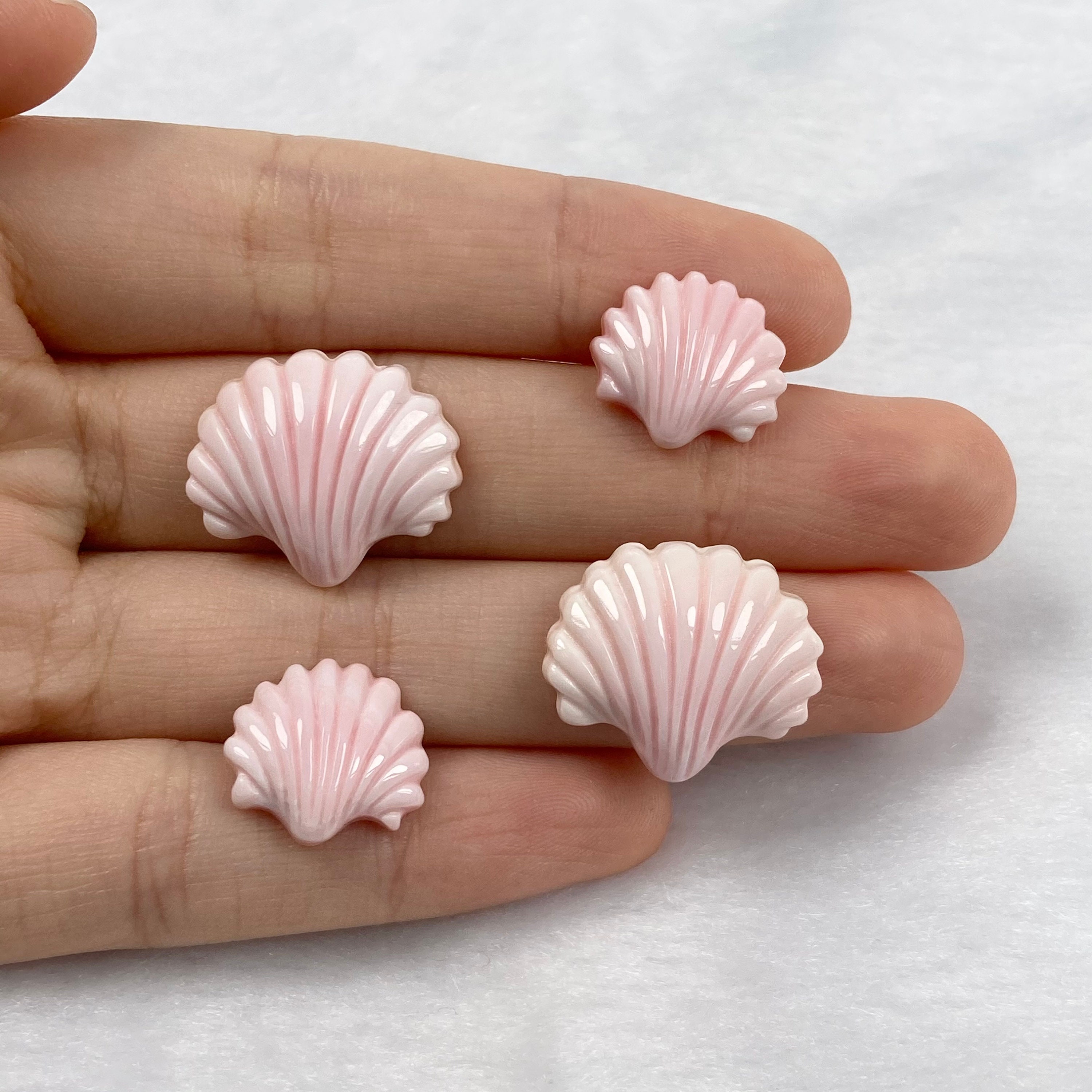10pc Queen Conch Shell Handcrafted Scallop Shell Loose Piece - Queen ...