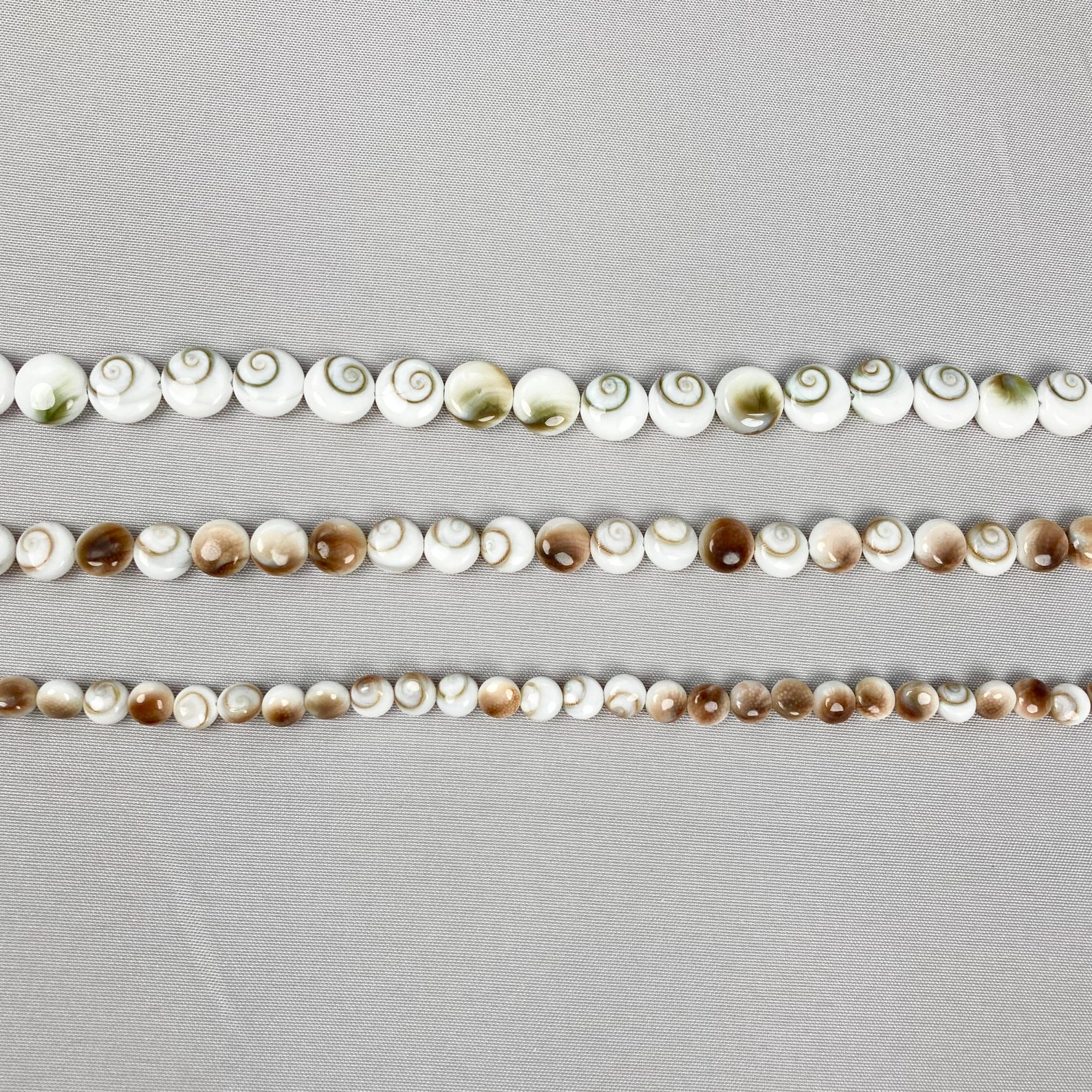 Single Shiva Shell Round Bead Shiva Shell Bead 16 Beaded Strand Shiva ...