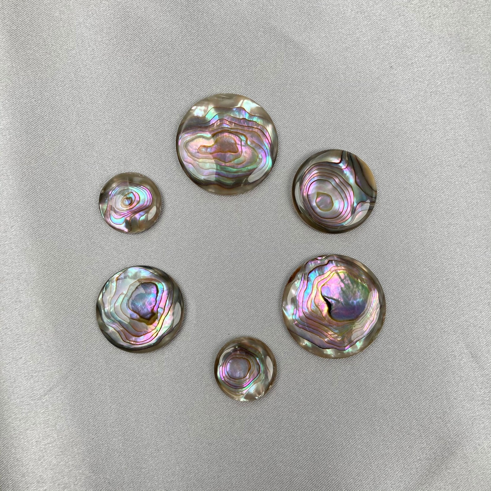 12pc Abalone Round Cabochon Shell Abalone Abalone Bead Abalone Earrings ...