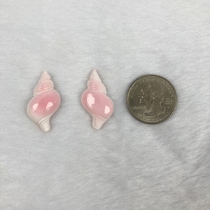 Carved Snail Queen Conch Shell Cabochon - Price per Pair - Queen Conch ...