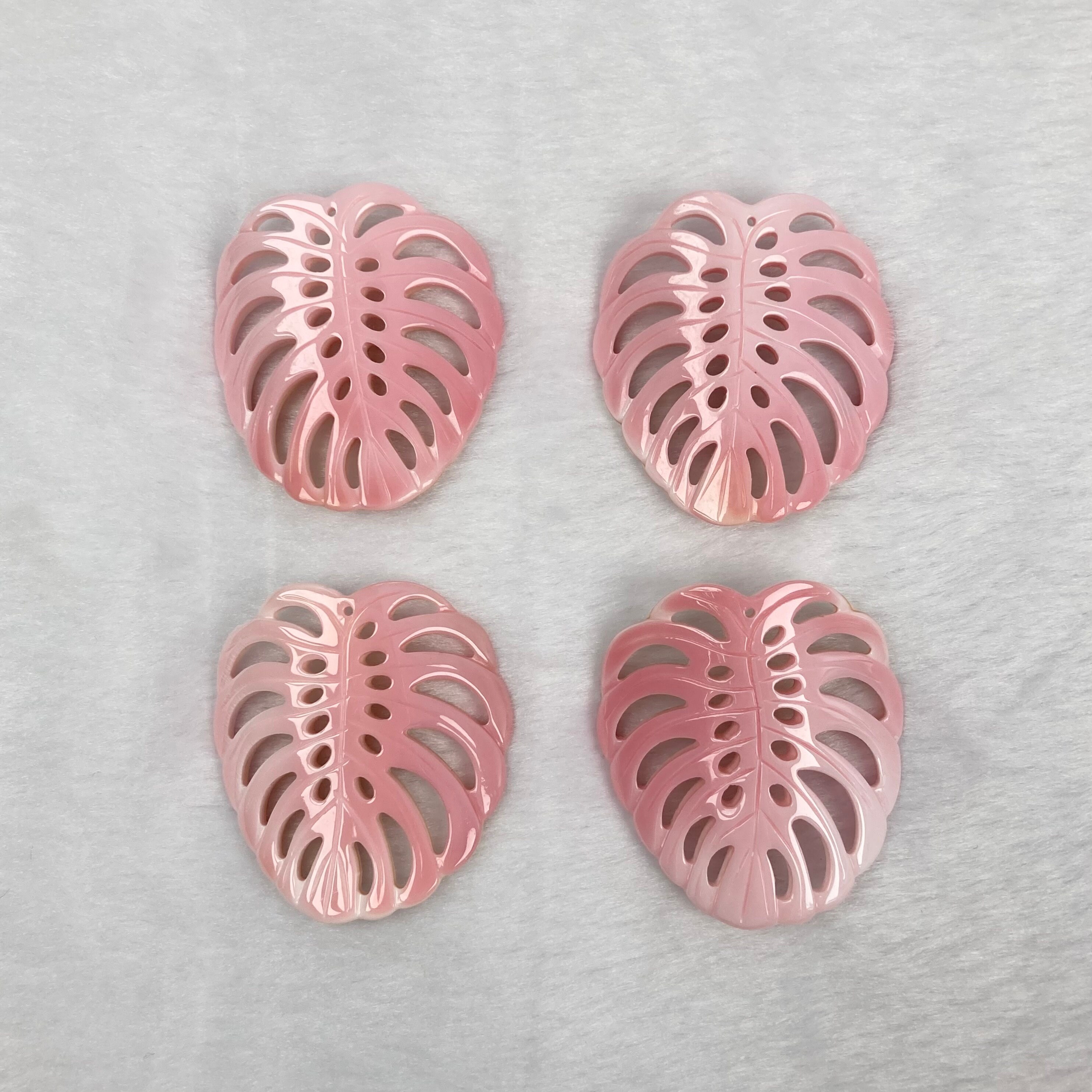 10pc Queen Conch Shell Monstera Deliciosa Variegated Pink Leaf - Queen ...