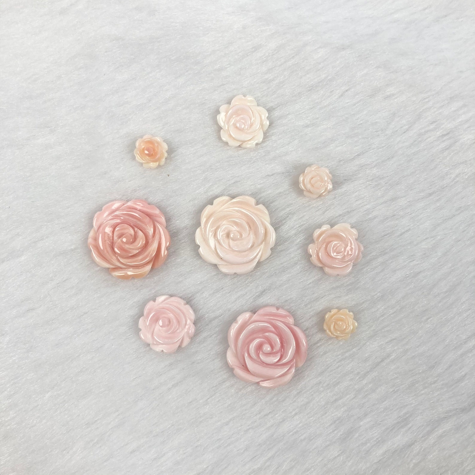 12pc Reina Concha concha tallada rosa pieza suelta concha de - Etsy España