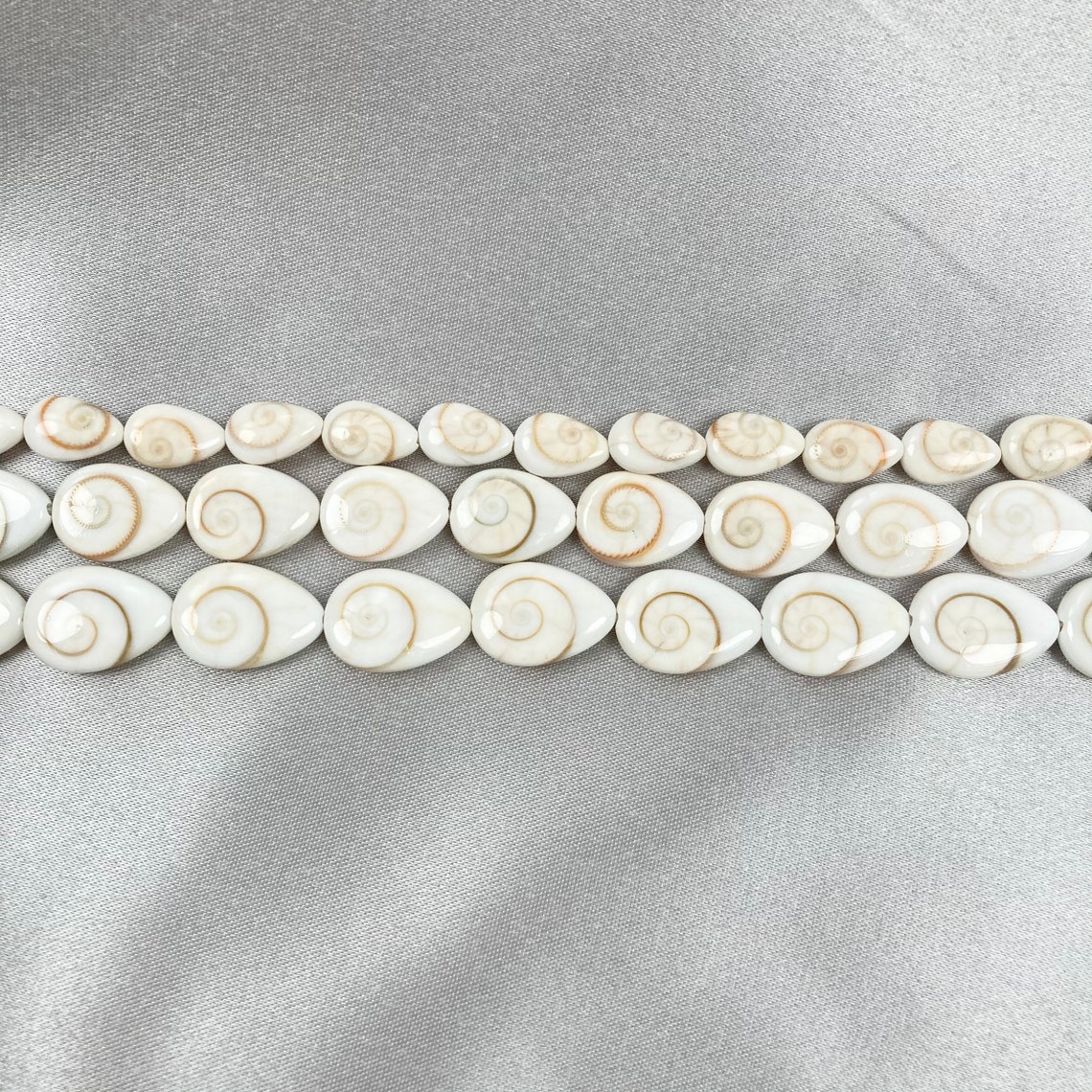 Single Shiva Shell Drop Bead Shiva Shell Bead Shiva Shell - Etsy