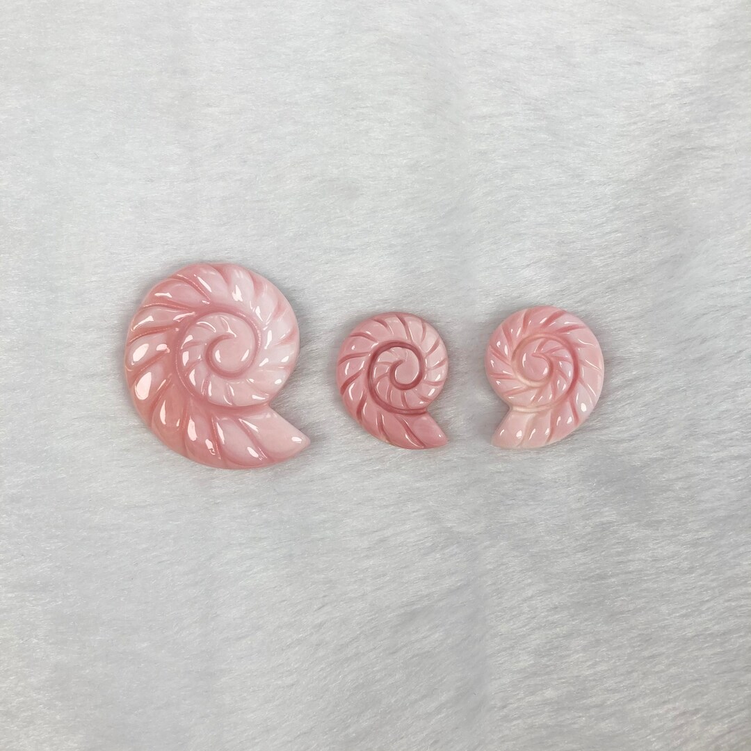 10pc Reina Concha Concha Tallada Espiral Nautilus Shell Cabochon Concha ...