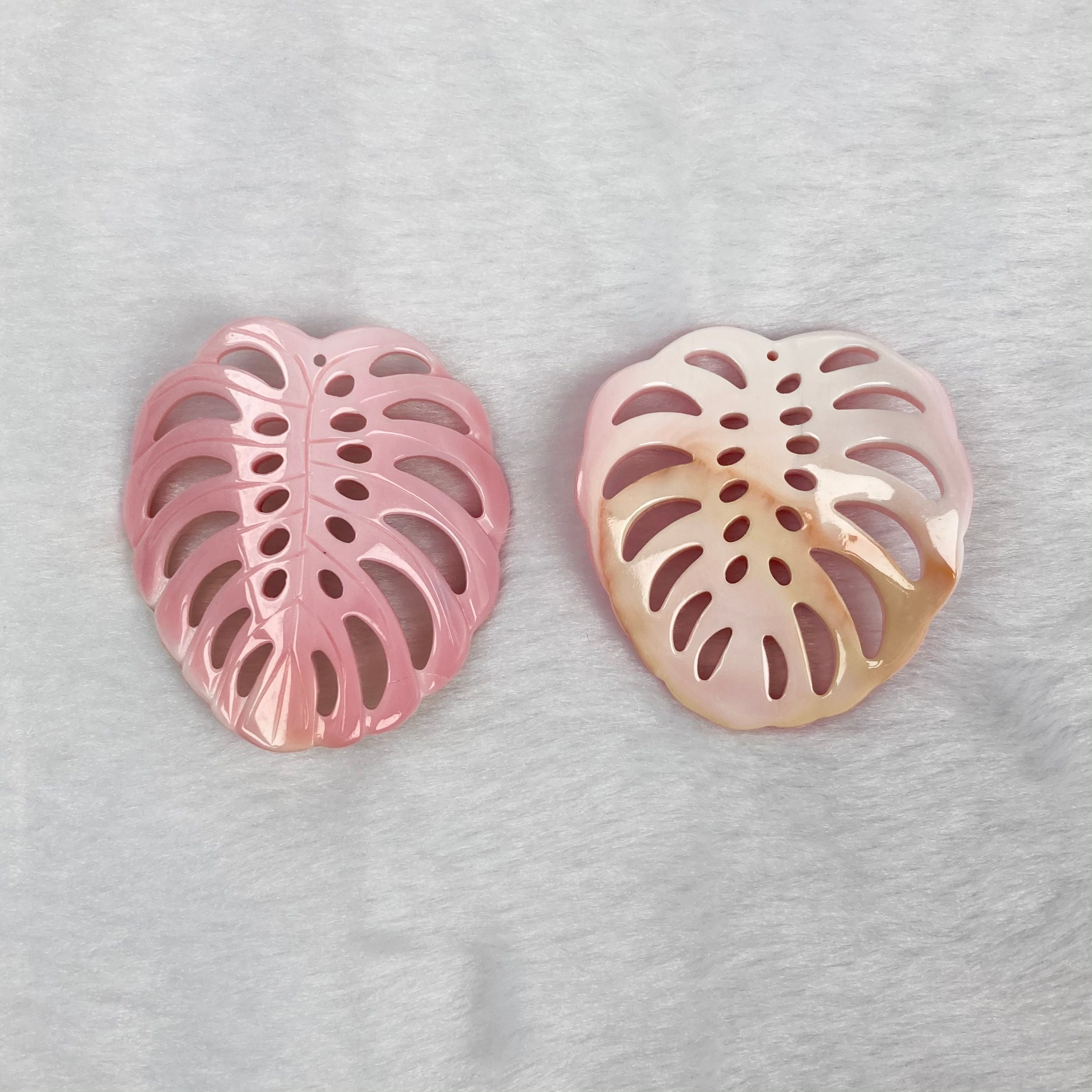 10pc Queen Conch Shell Monstera Deliciosa Variegated Pink Leaf - Queen ...