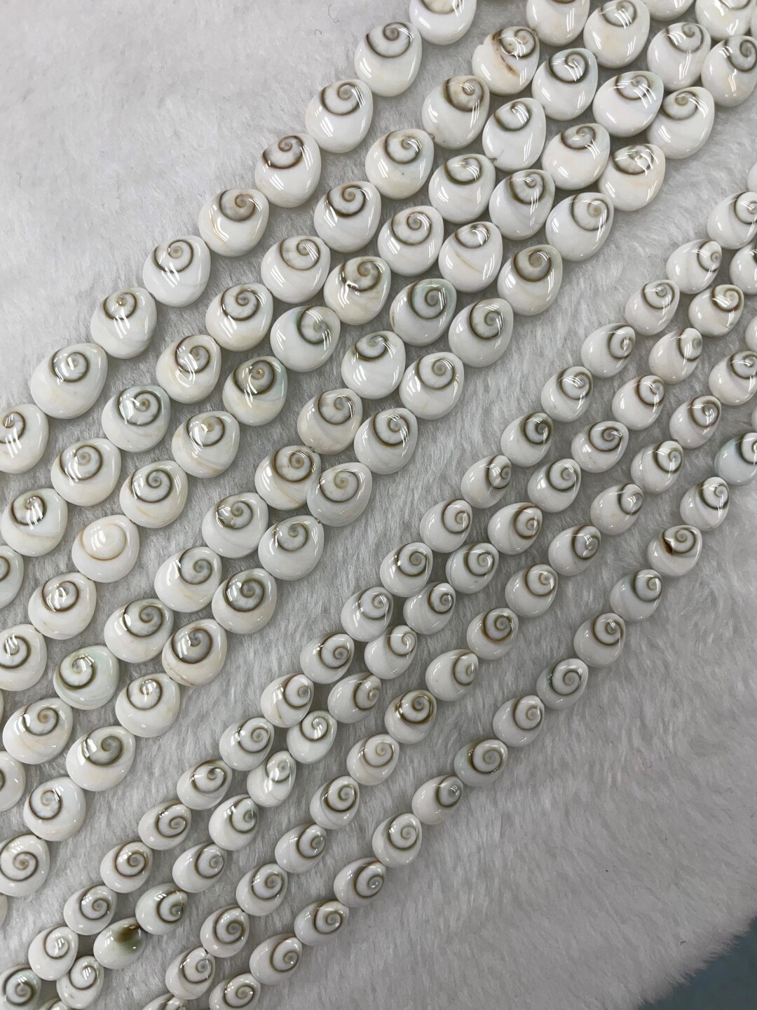 Single Shiva Shell Drop Bead - Shiva Shell Bead - Shiva Shell - Natural ...