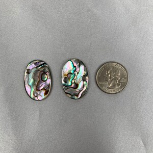 10pc Abalone Oval Button With 2 Holes - Shell Abalone - Abalone Button ...