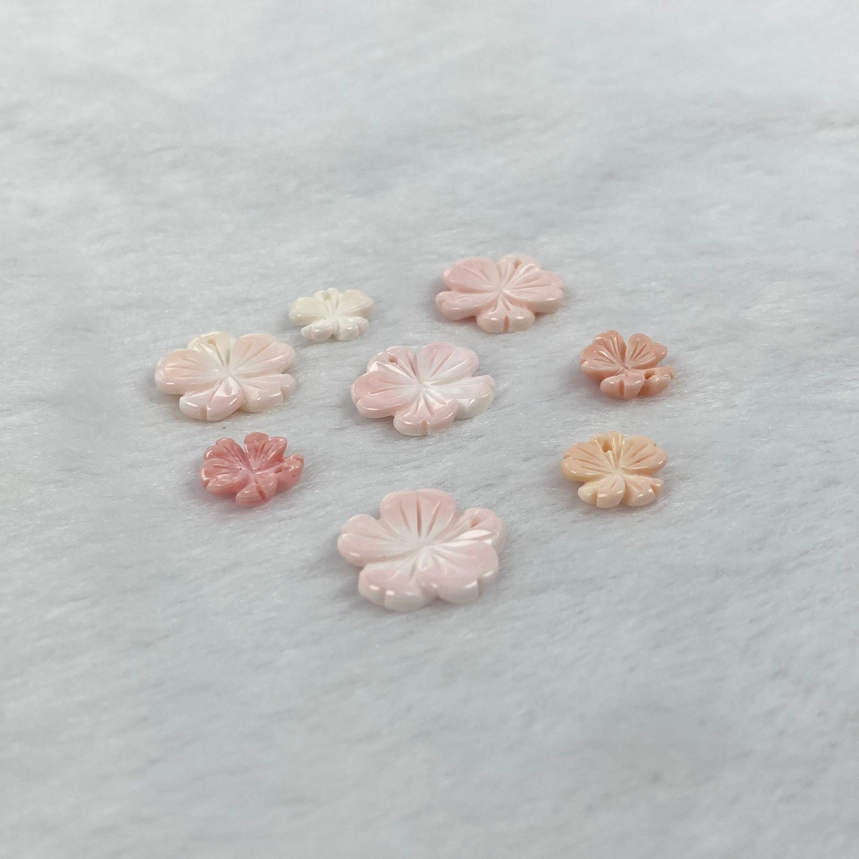 12pc Queen Conch Shell Carved Floral Loose Piece - Queen Conch Shell ...