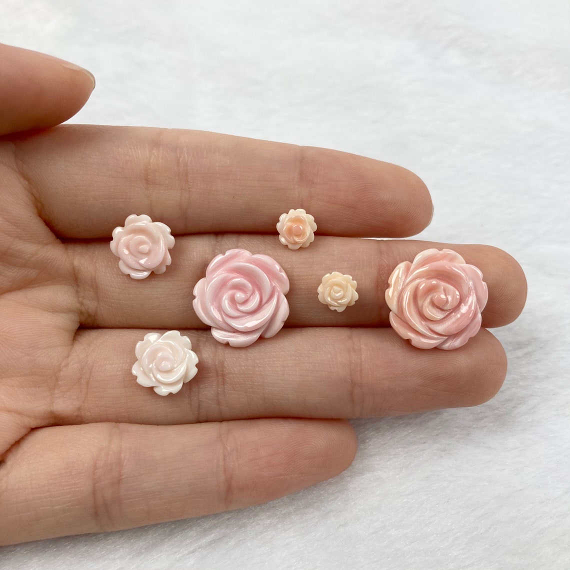 12pc Reina Concha concha tallada rosa pieza suelta concha de - Etsy España