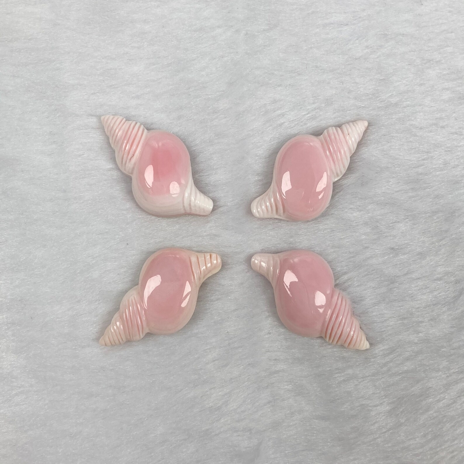 Carved Snail Queen Conch Shell Cabochon Price per Pair - Etsy