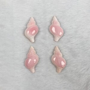 Carved Snail Queen Conch Shell Cabochon - Price per Pair - Queen Conch ...