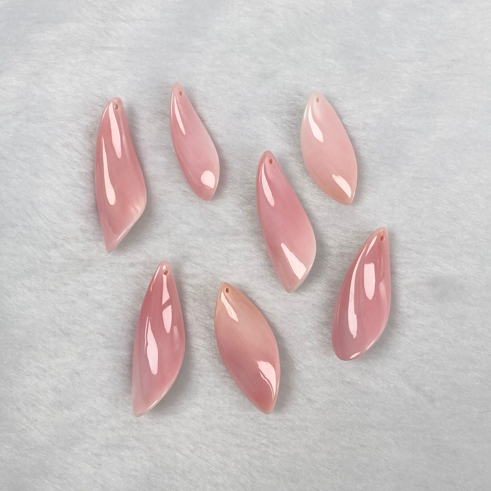 12pc Queen Conch Shell Freeform Curved Chips Loose Piece - Etsy