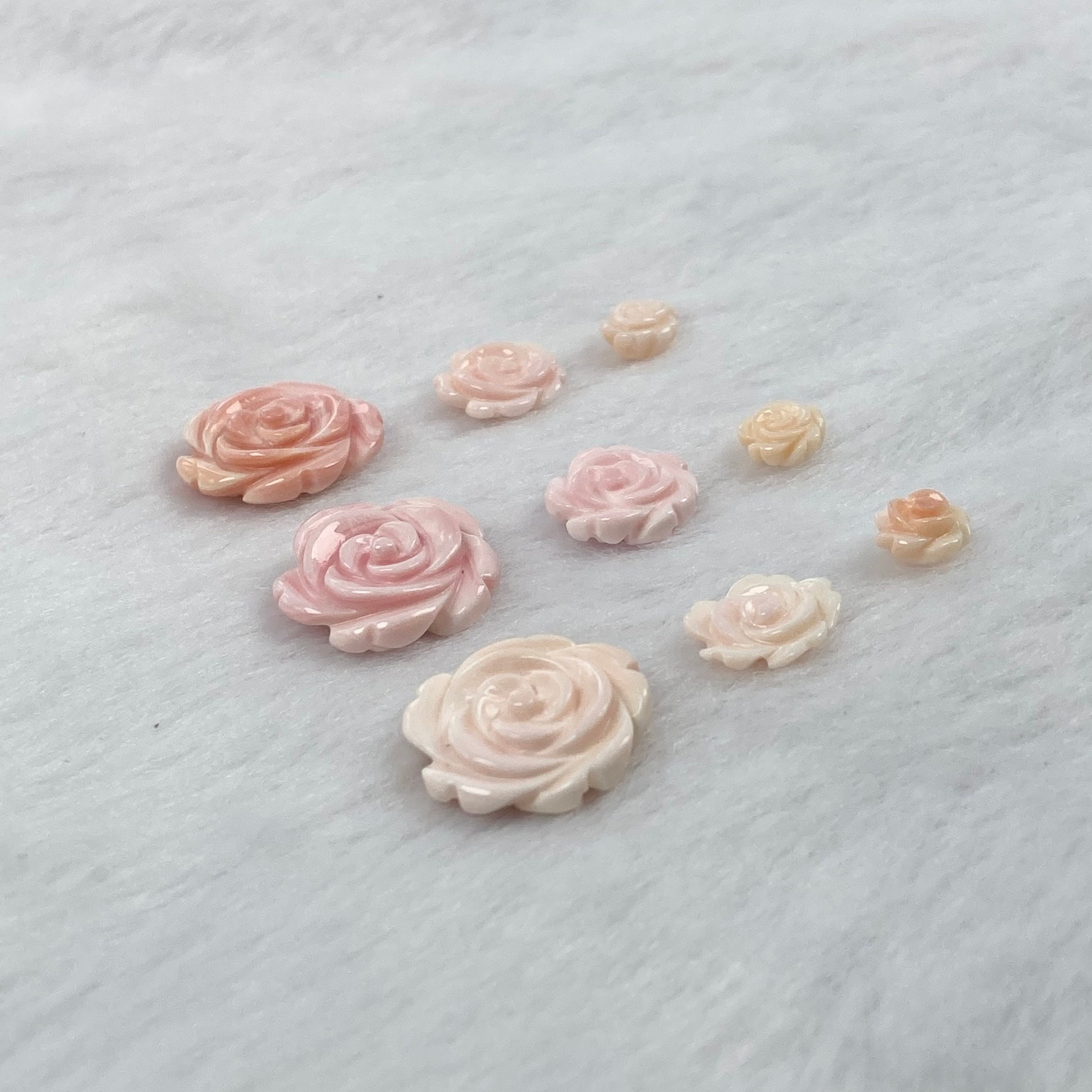 12pc Reina Concha concha tallada rosa pieza suelta concha de - Etsy España