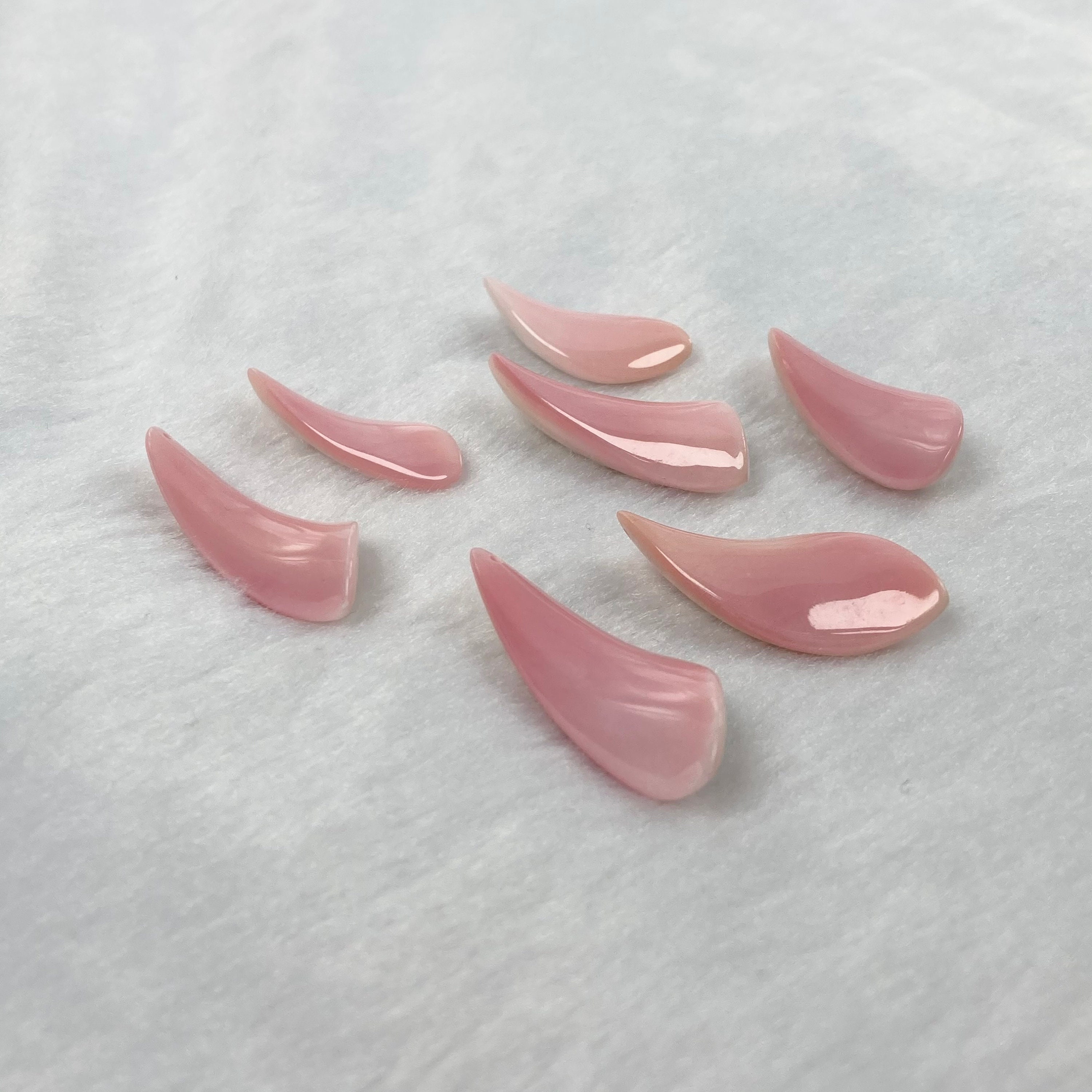 12pc Queen Conch Shell Freeform Curved Chips Loose Piece - Etsy