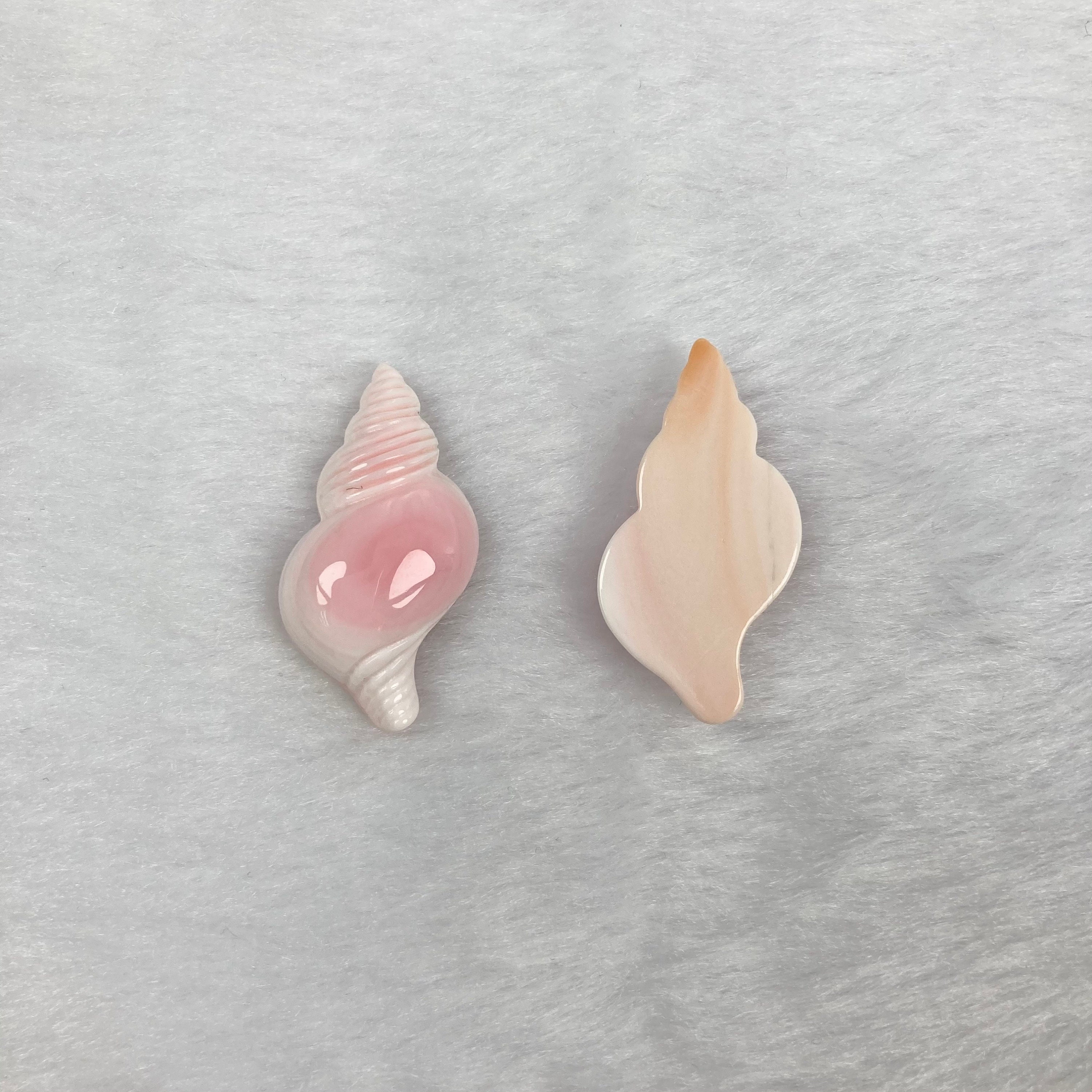 Carved Snail Queen Conch Shell Cabochon Price per Pair Queen Conch ...