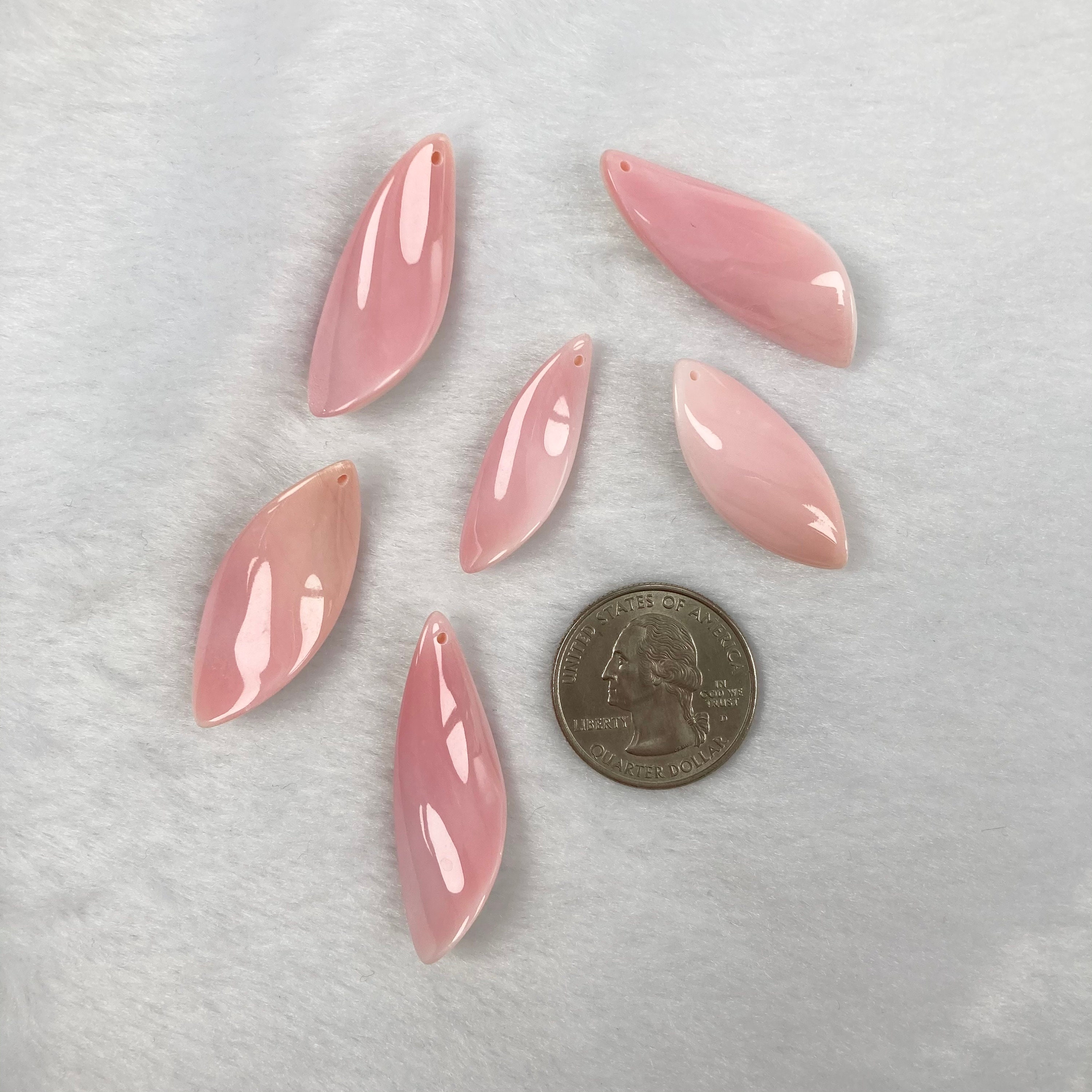 12pc Queen Conch Shell Freeform Curved Chips Loose Piece - Etsy