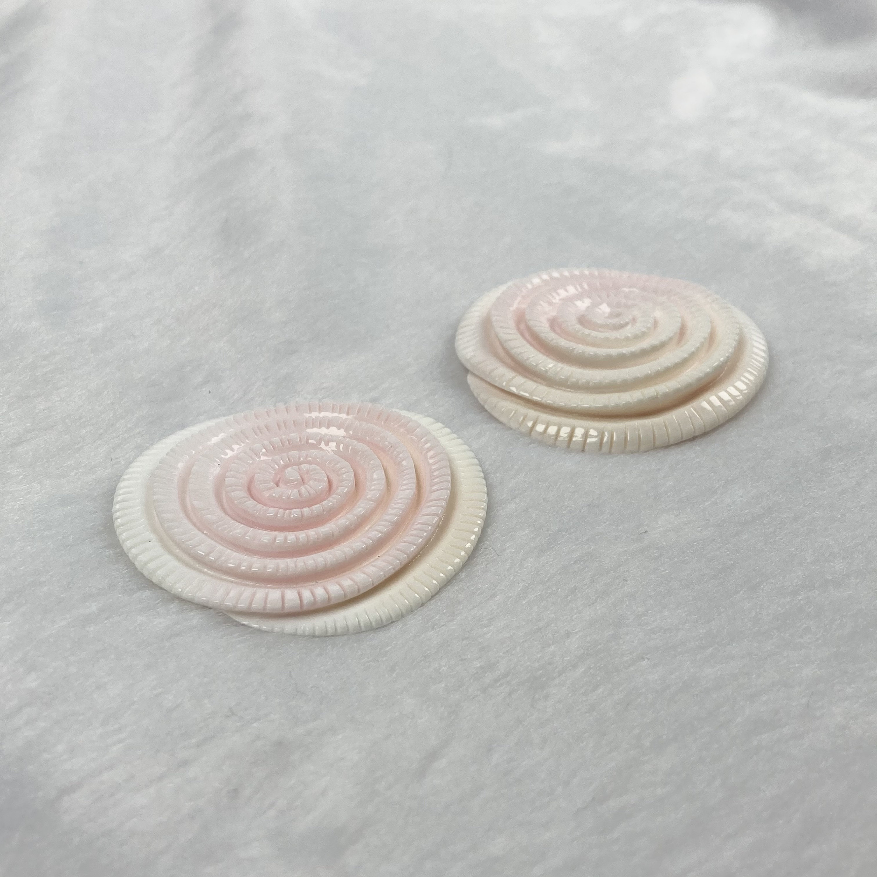 12pc Queen Conch Shell Carved Spiral Loose Piece Queen Conch - Etsy