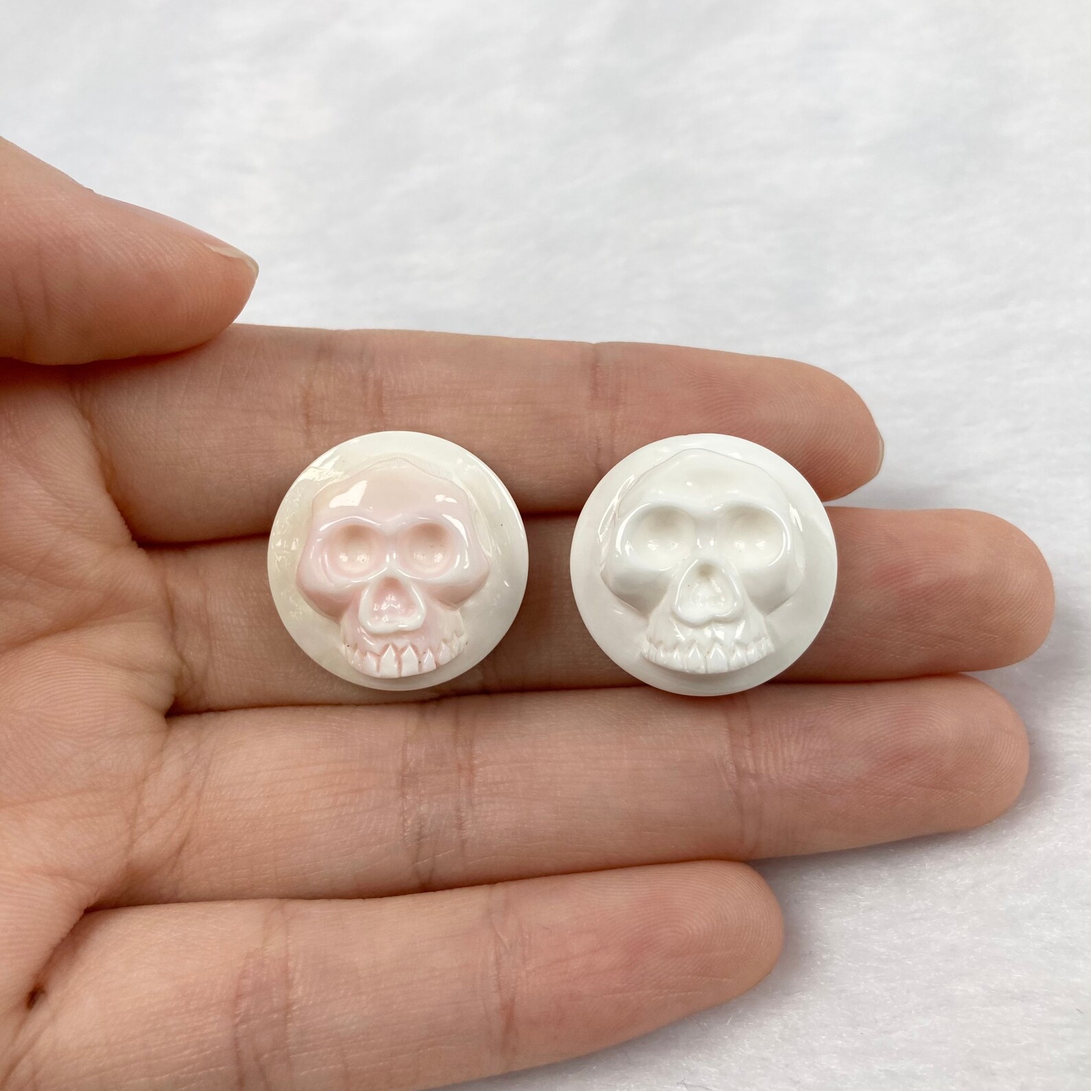 12pc Queen Conch Shell Carved Skull Cabochon Queen Conch - Etsy