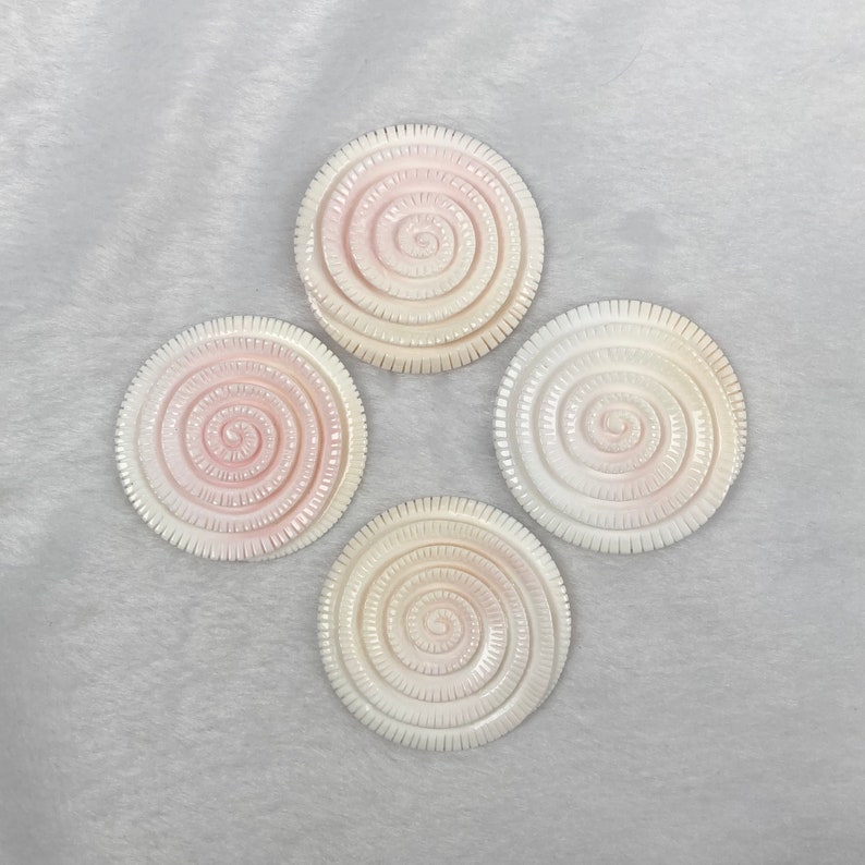 12pc Queen Conch Shell Carved Spiral Loose Piece Queen Conch - Etsy