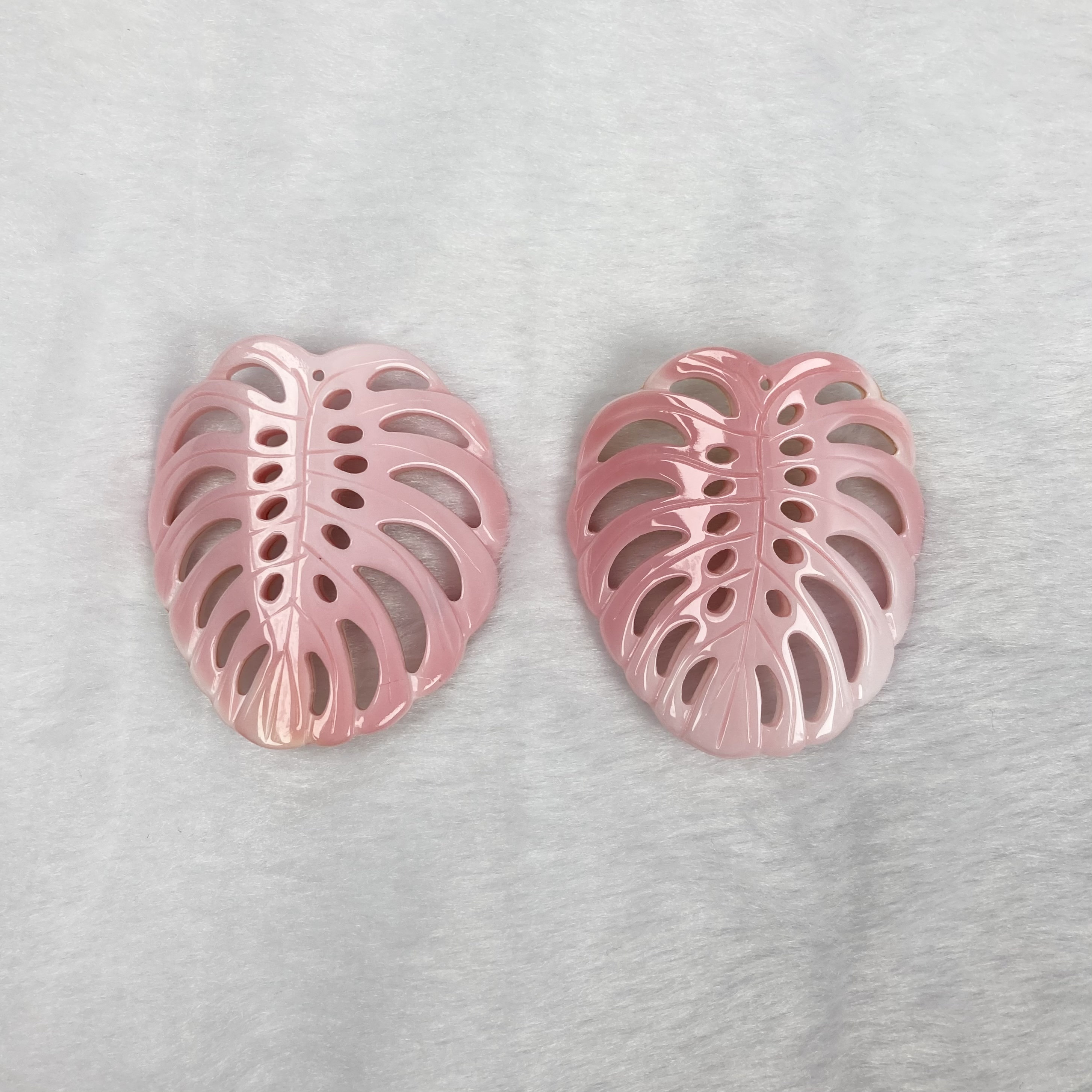 10pc Queen Conch Shell Monstera Deliciosa Variegated Pink Leaf - Queen ...