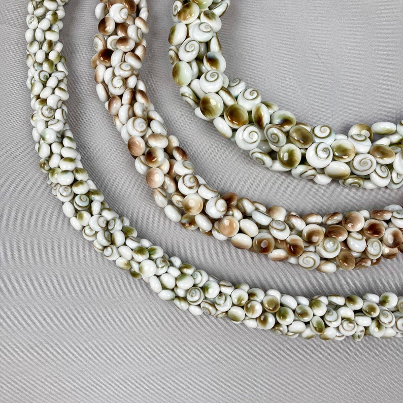 Single Shiva Shell Round Bead Shiva Shell Bead 16 Beaded Strand Shiva ...