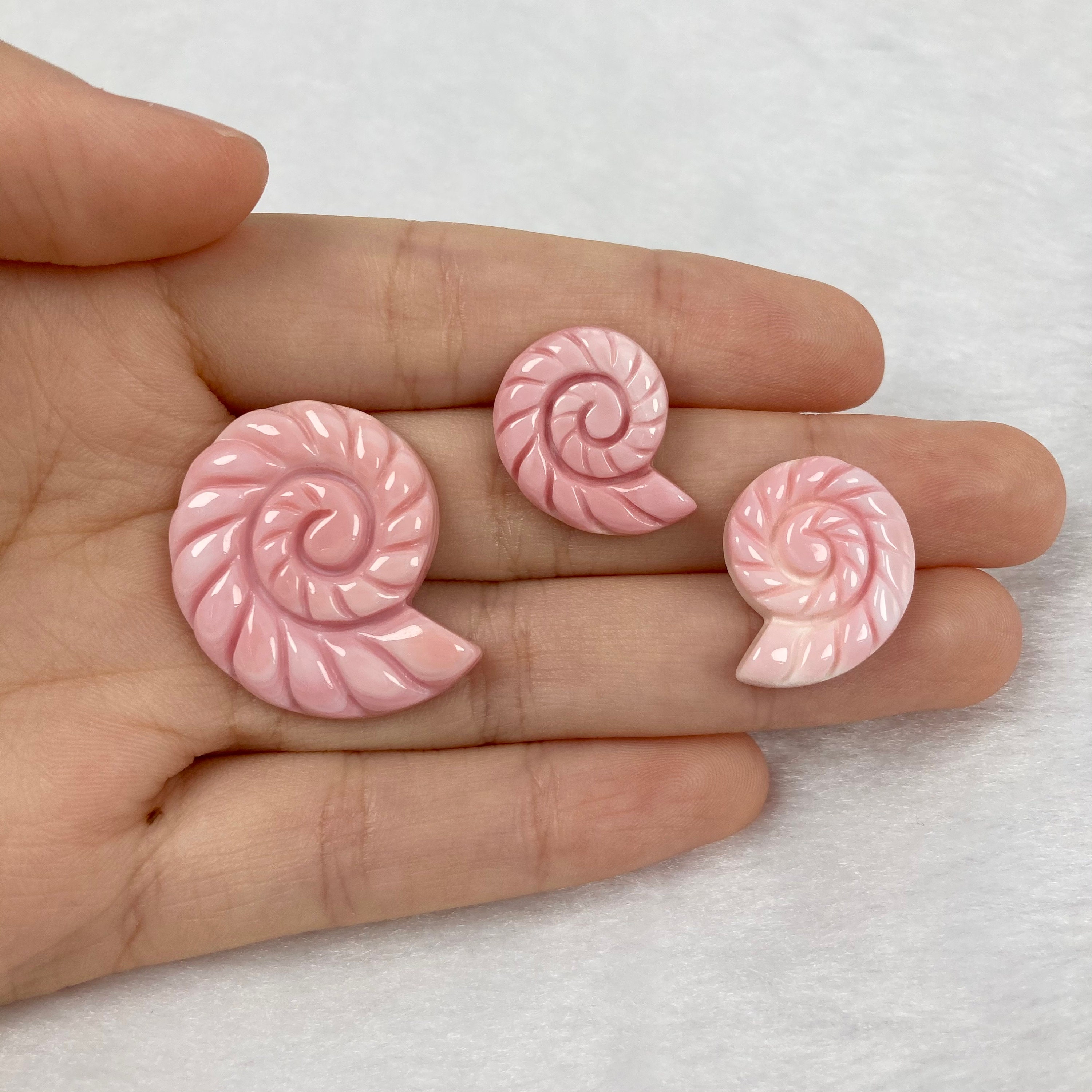 10pc Reina Concha Concha Tallada Espiral Nautilus Shell - Etsy España