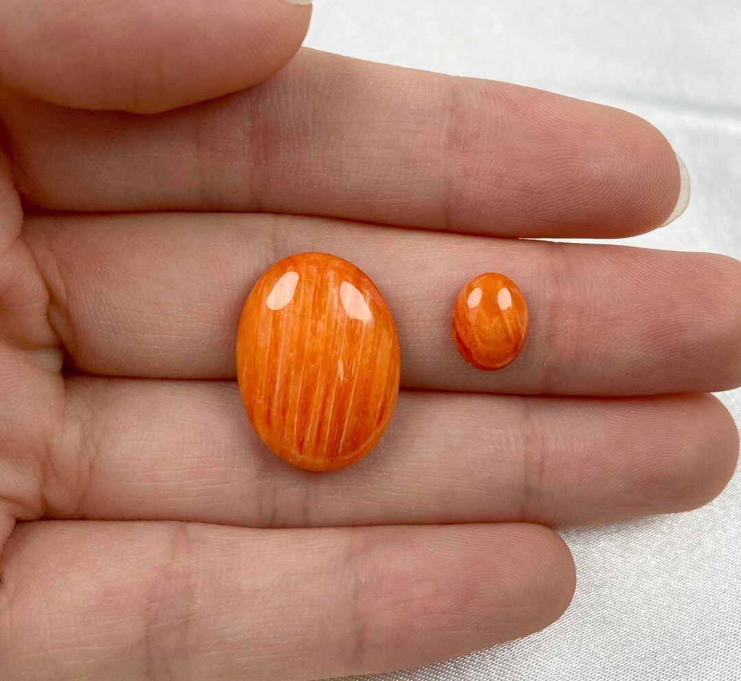 Spiny Oyster Shell - Oval Shaped Cabochon - Orange Shell Cabochon - 10 ...