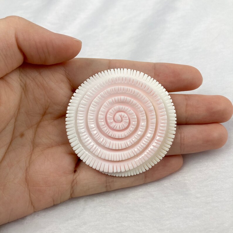 12pc Queen Conch Shell Carved Spiral Loose Piece Queen Conch - Etsy