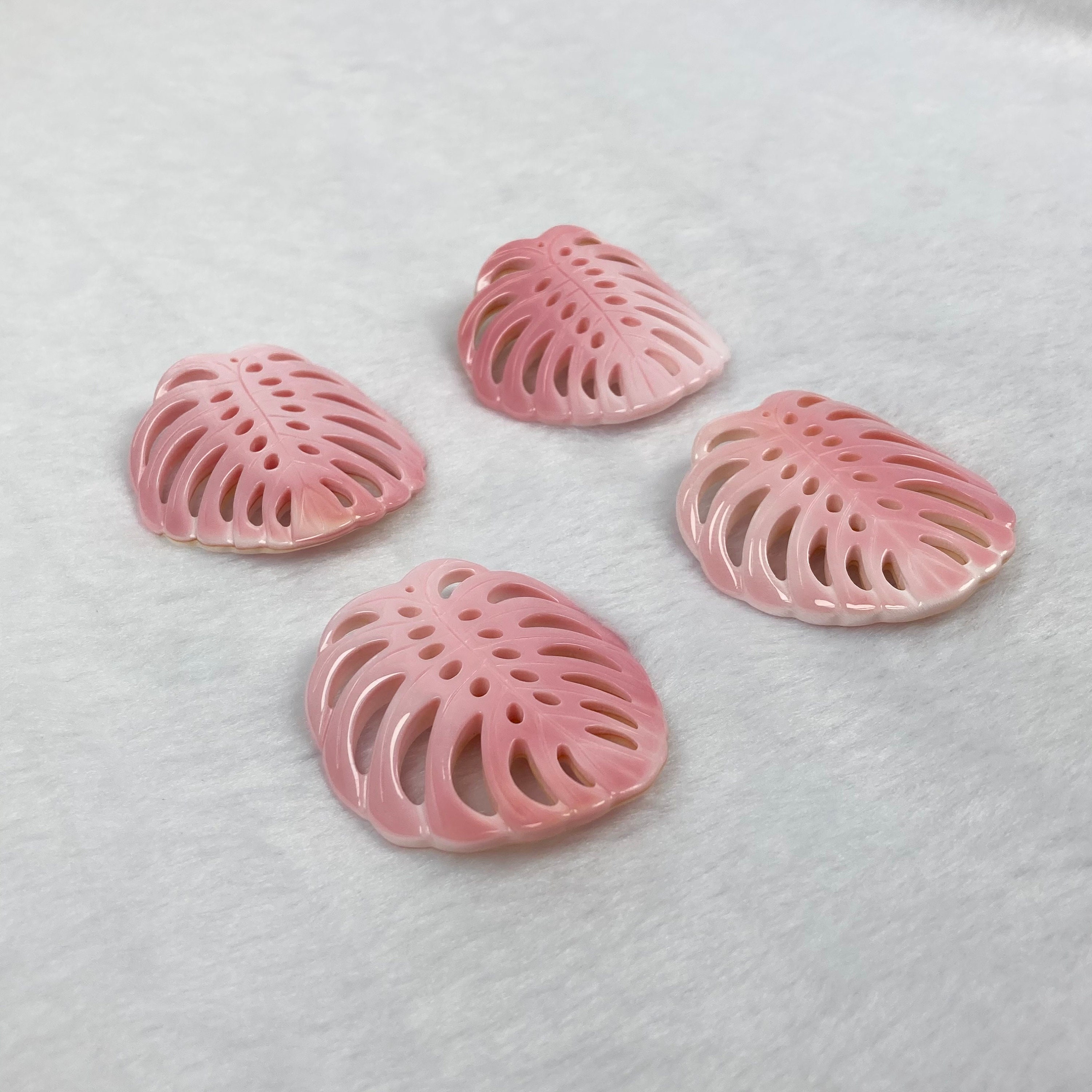 10pc Queen Conch Shell Monstera Deliciosa Variegated Pink Leaf - Queen ...