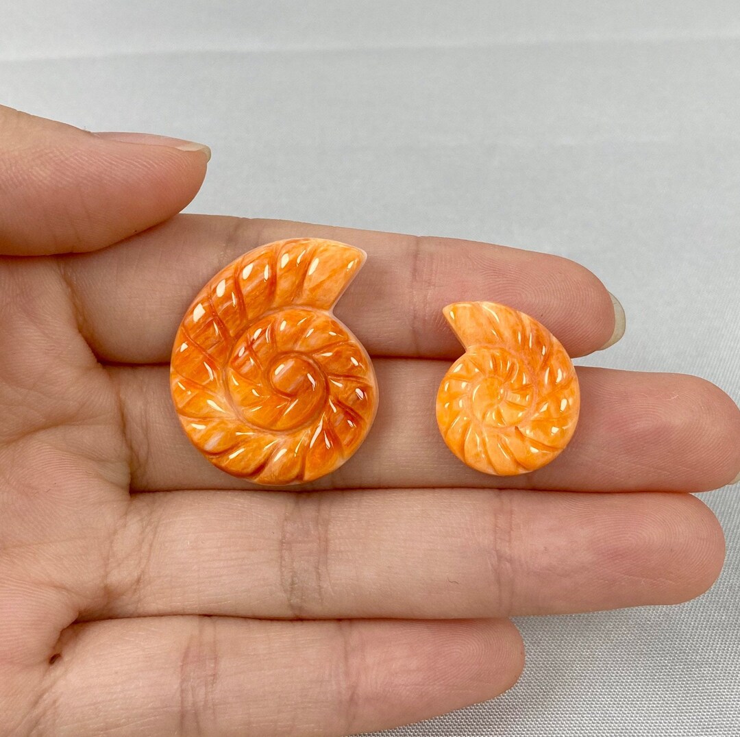 Spiny Oyster Shell - Spiral Nautilus Shell - Orange Shell Cabochon - 10 ...