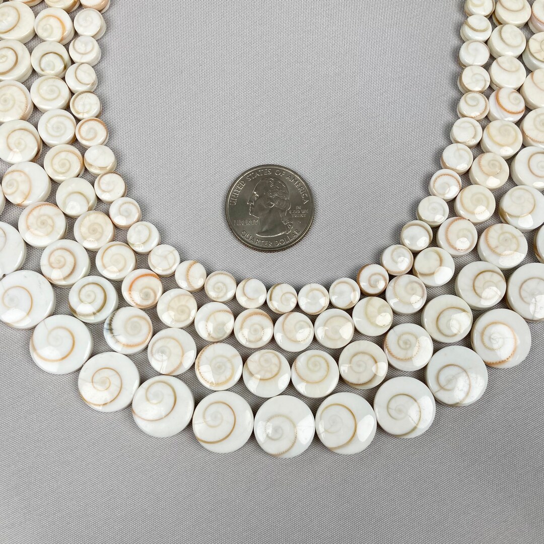 Doublet Shiva Shell Round Bead – Shiva Shell Bead- 16" Beaded Strand ...
