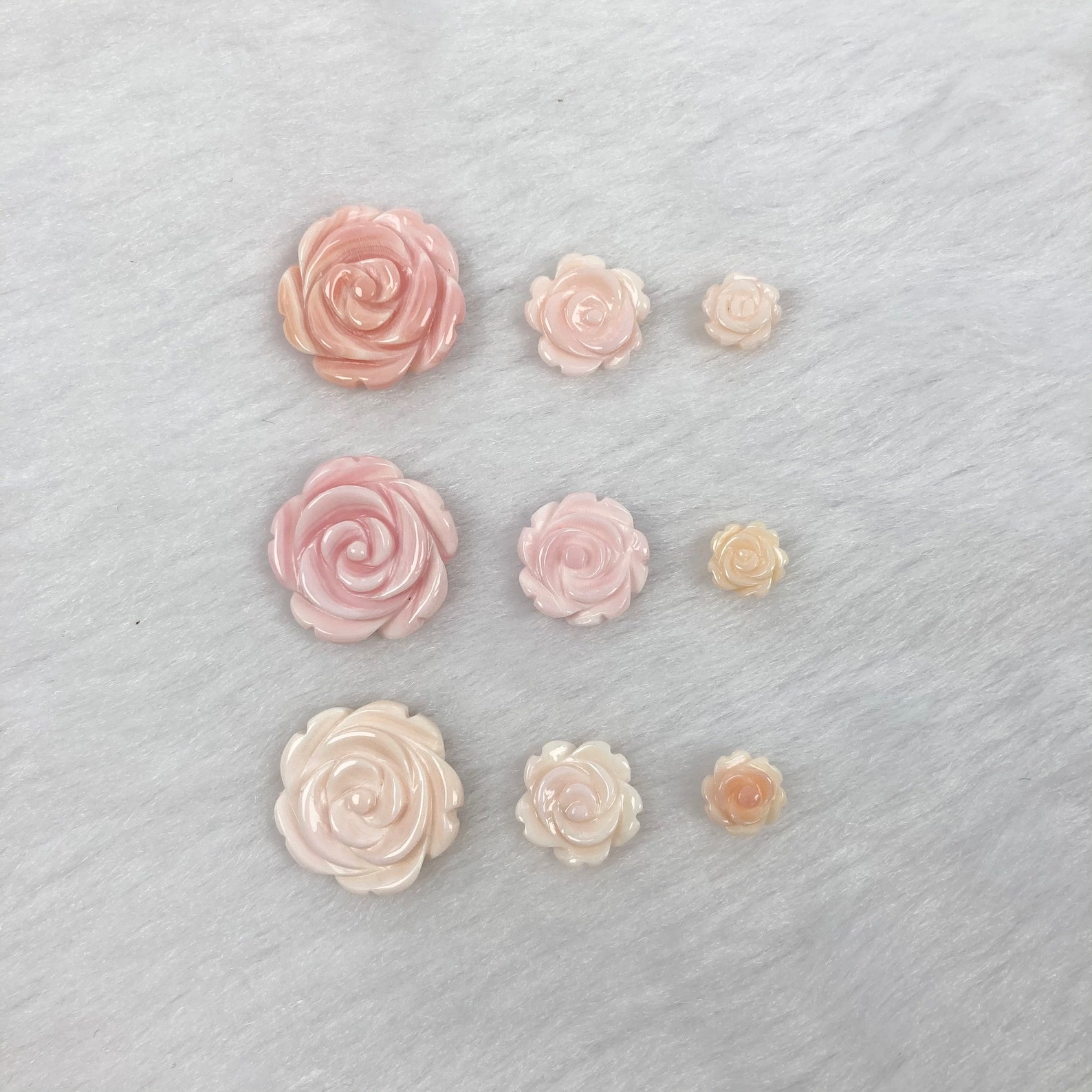 12pc Reina Concha concha tallada rosa pieza suelta concha de - Etsy España