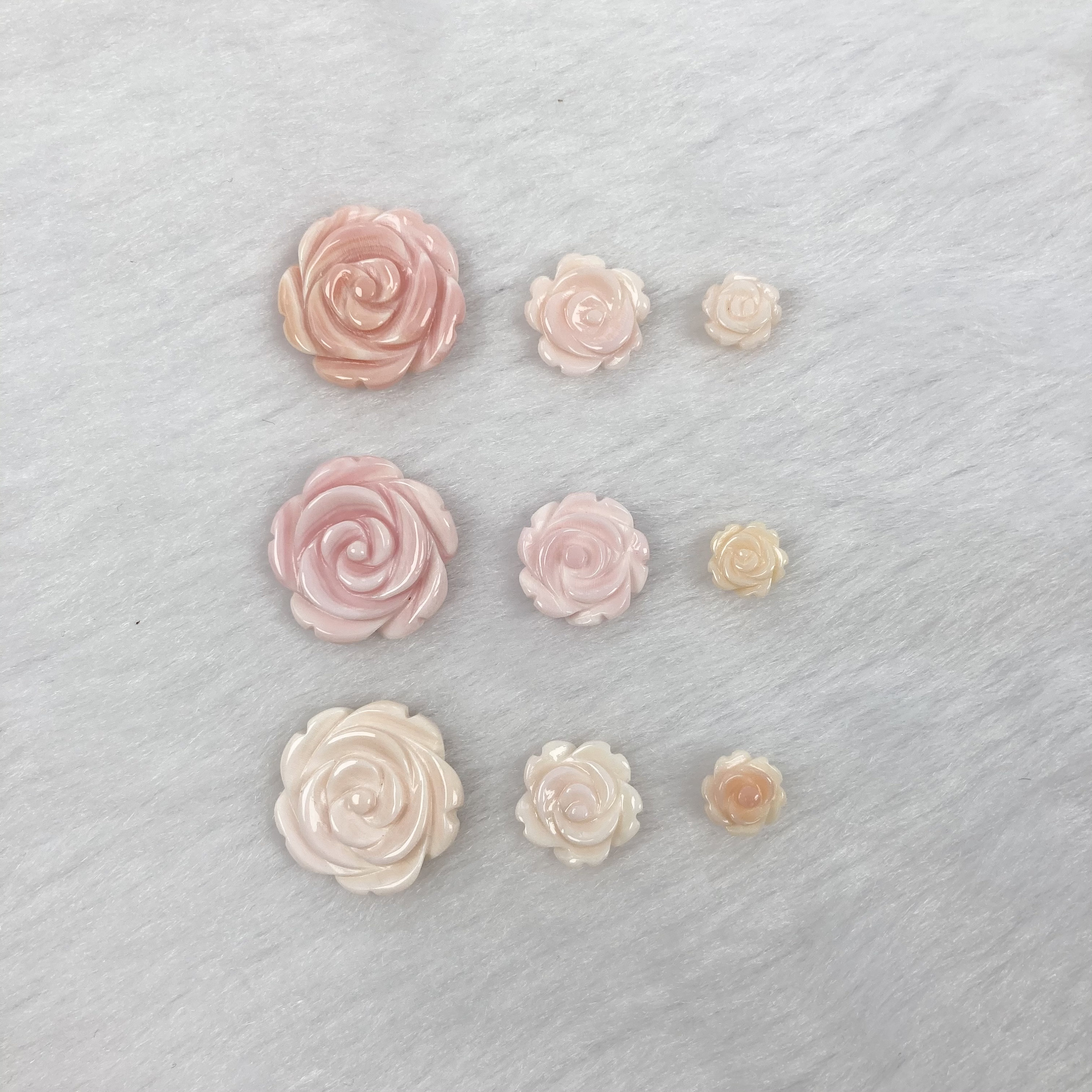 12pc Reina Concha concha tallada rosa pieza suelta concha de - Etsy España