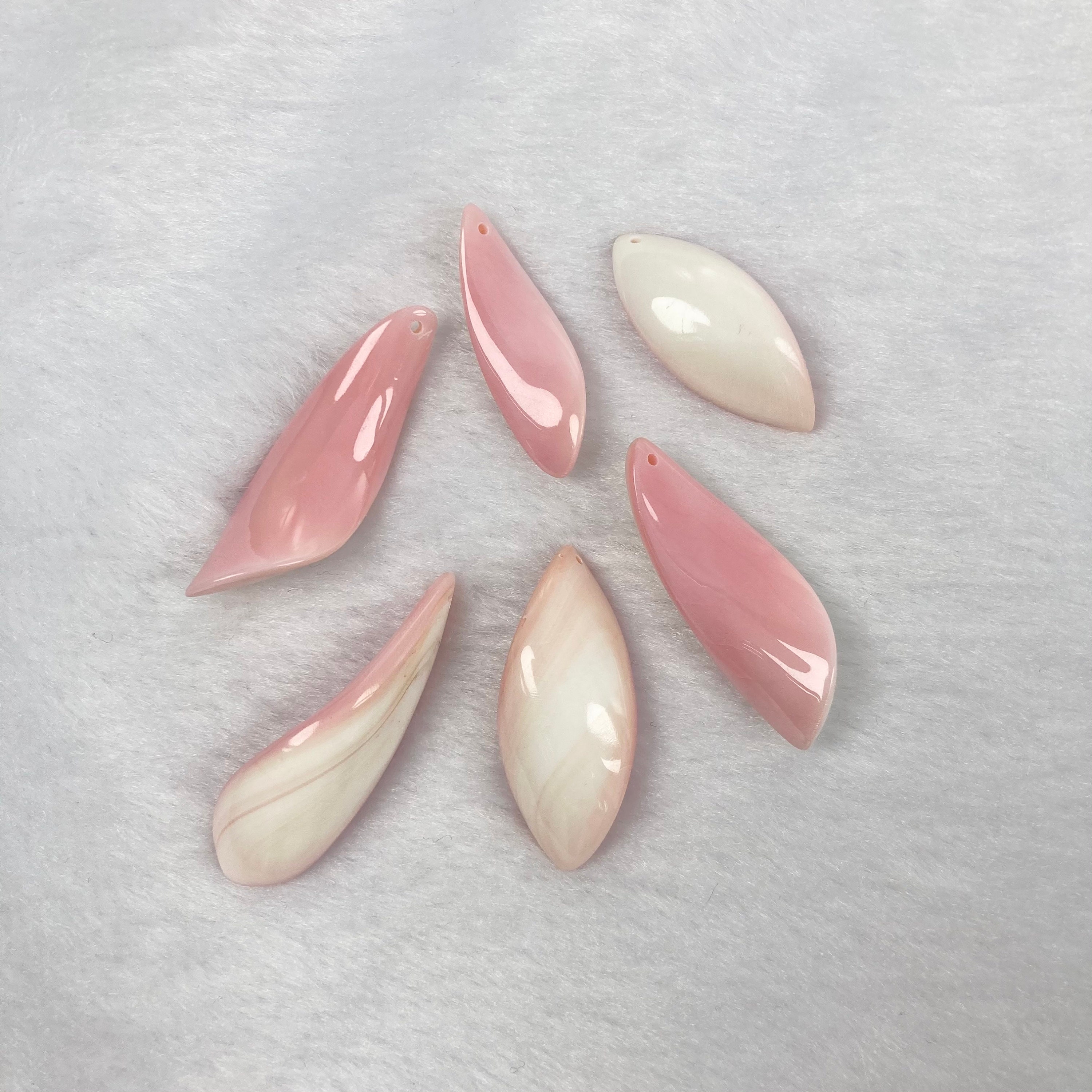 12pc Queen Conch Shell Freeform Curved Chips Loose Piece - Etsy