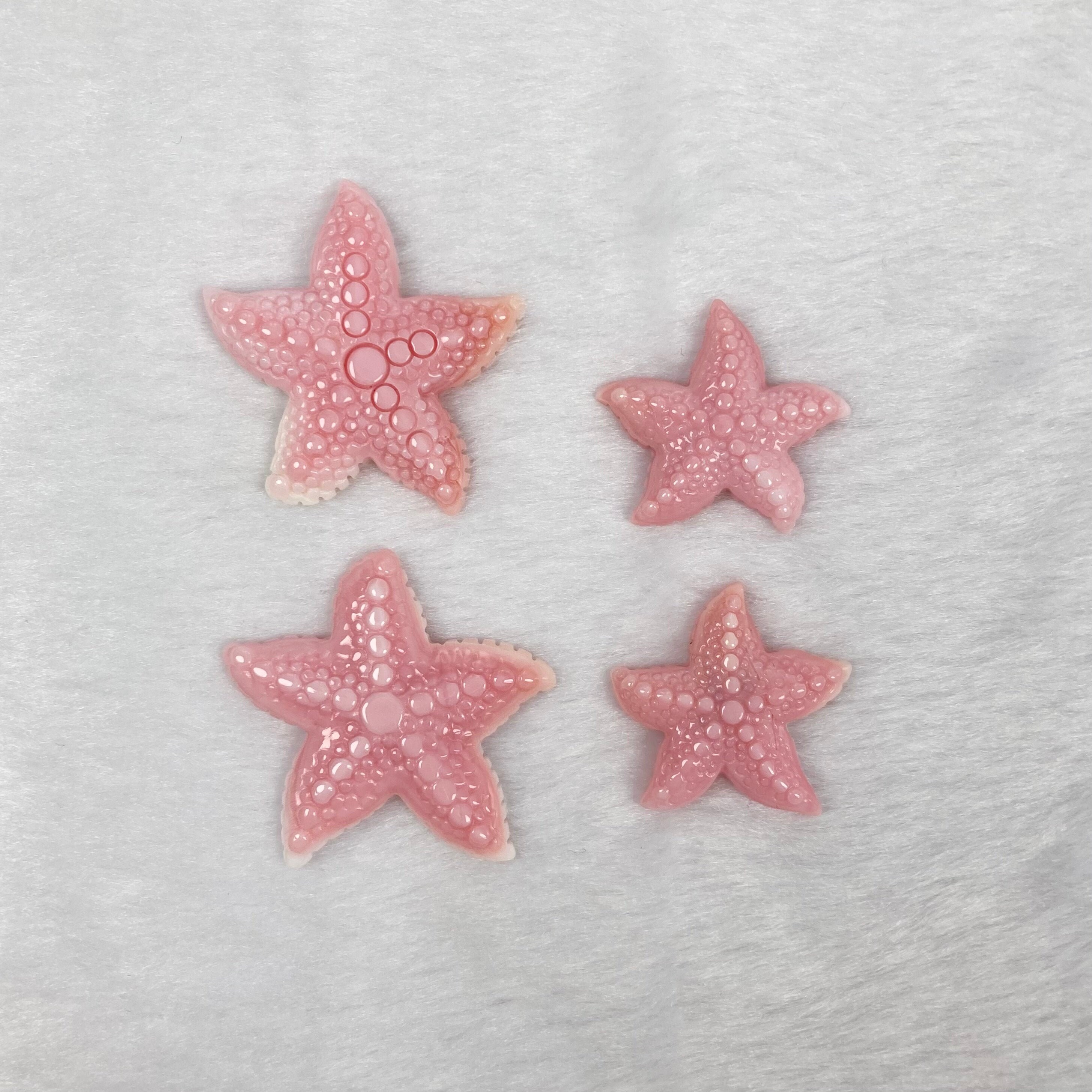 10pc Queen Conch Shell Carved Starfish Cabochon Queen Conch Shell Queen ...