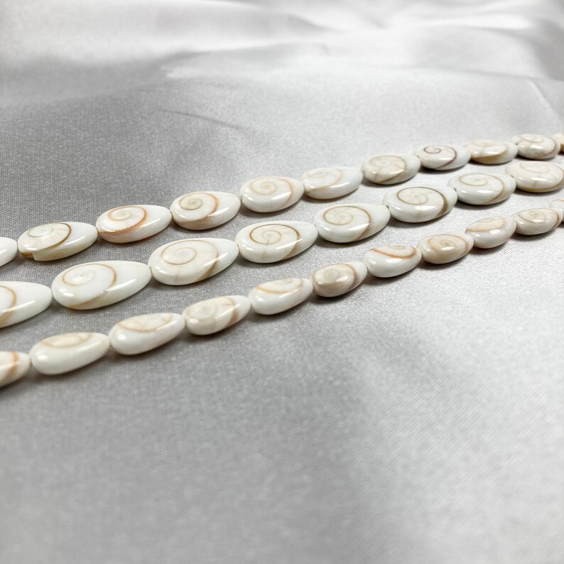 Single Shiva Shell Drop Bead Shiva Shell Bead Shiva Shell - Etsy