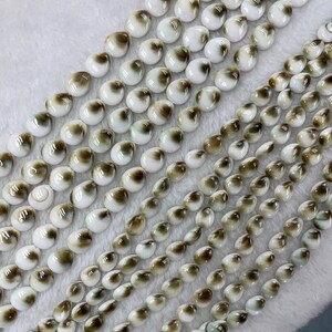 Single Shiva Shell Drop Bead - Shiva Shell Bead - Shiva Shell - Natural ...