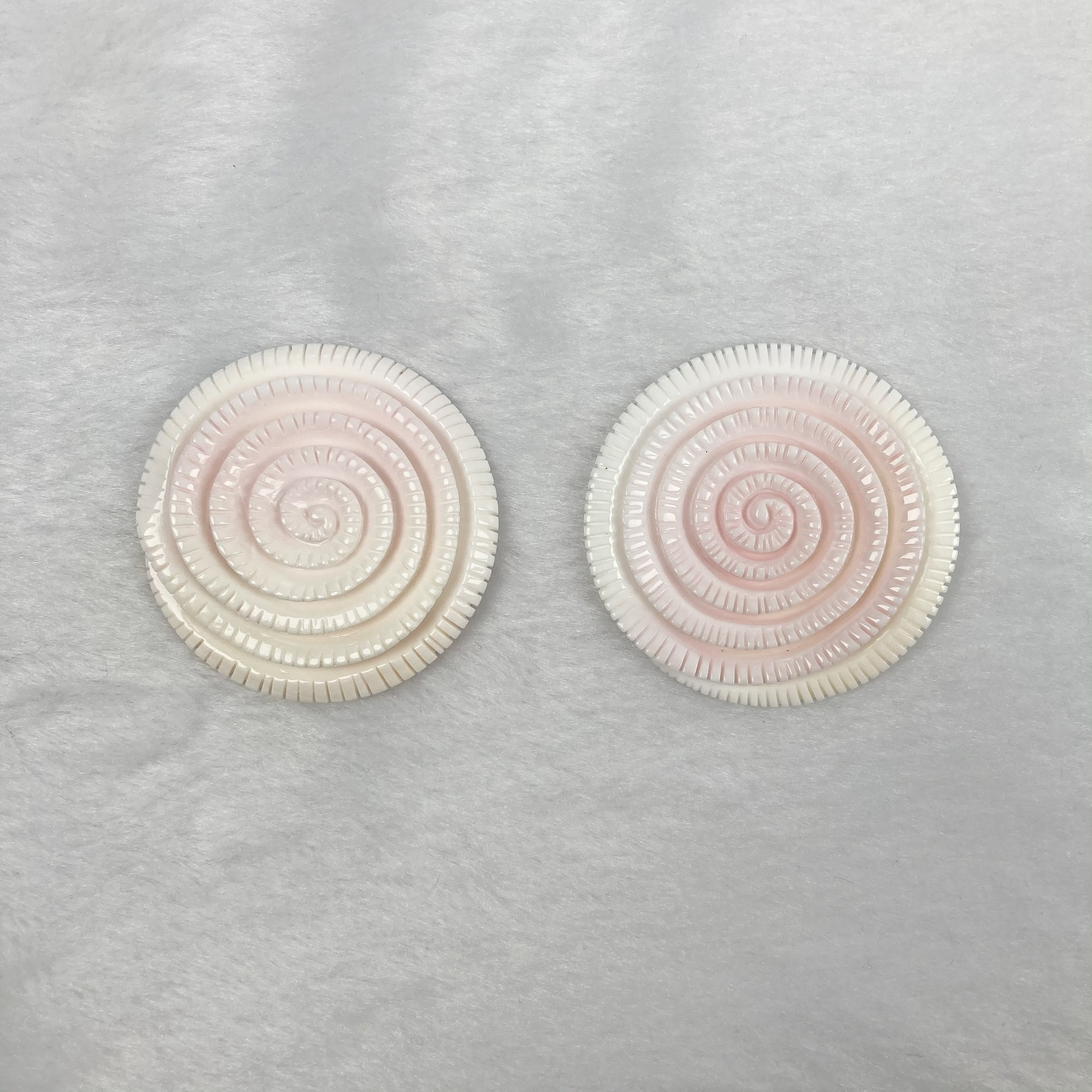 12pc Queen Conch Shell Carved Spiral Loose Piece Queen Conch - Etsy