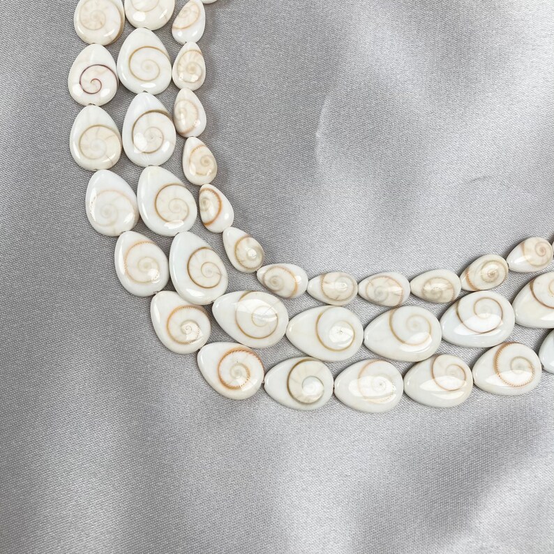 Single Shiva Shell Drop Bead Shiva Shell Bead Shiva Shell - Etsy