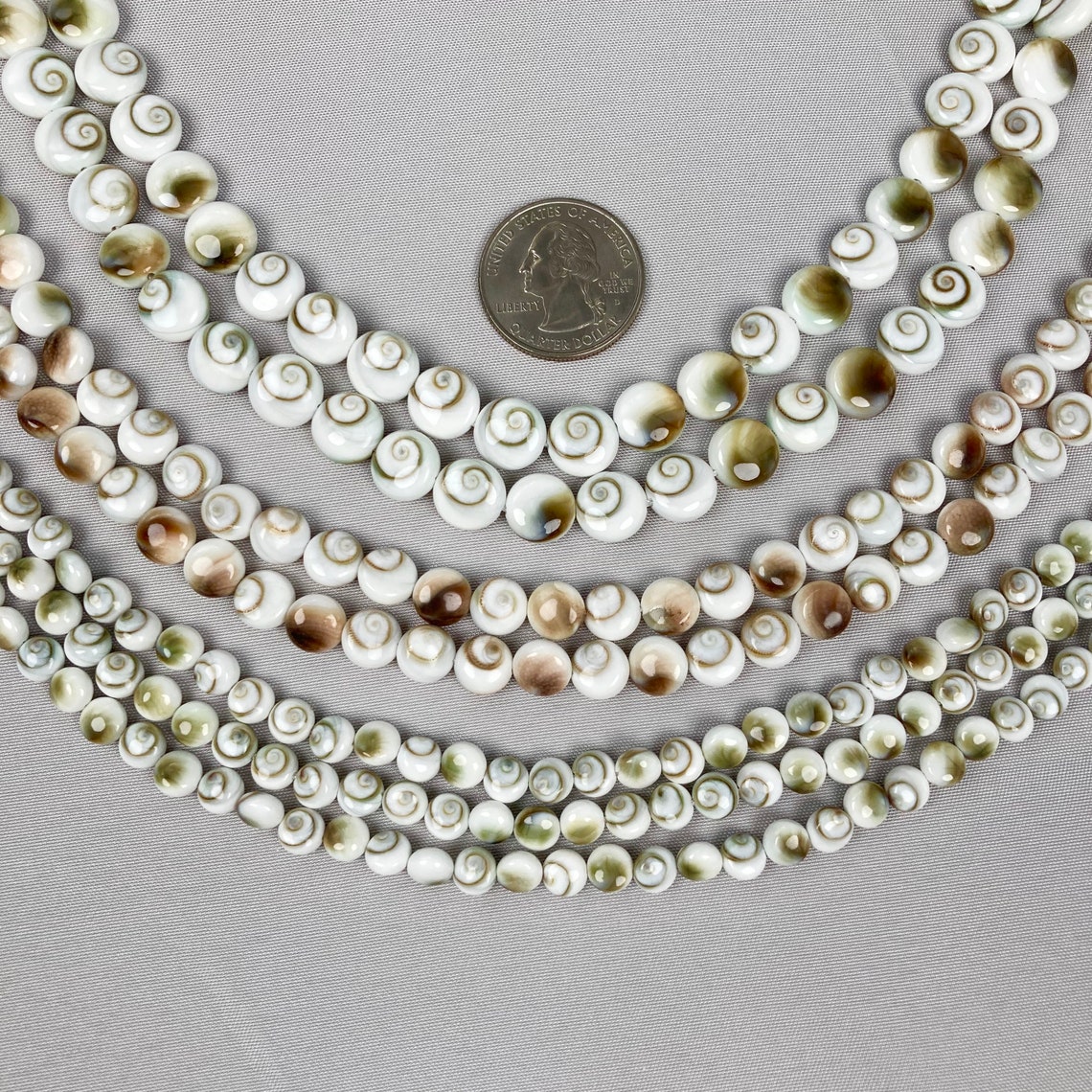 Single Shiva Shell Round Bead – Shiva Shell Bead - 16" Beaded Strand ...